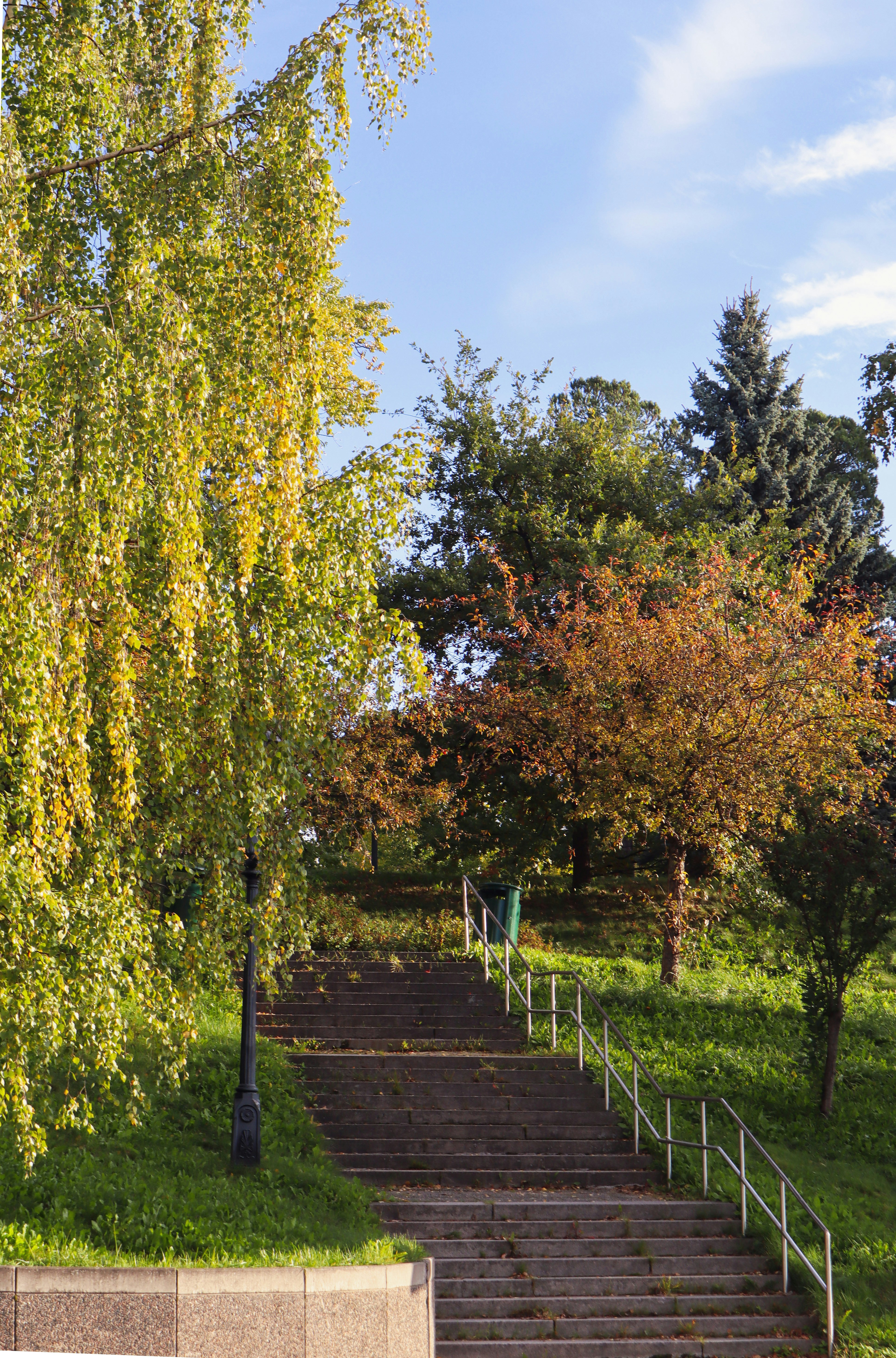 Lush greenery and vibrant autumn foliage frame a set of stone steps leading up a gentle incline. The scene captures the tranquility of a park in transition.