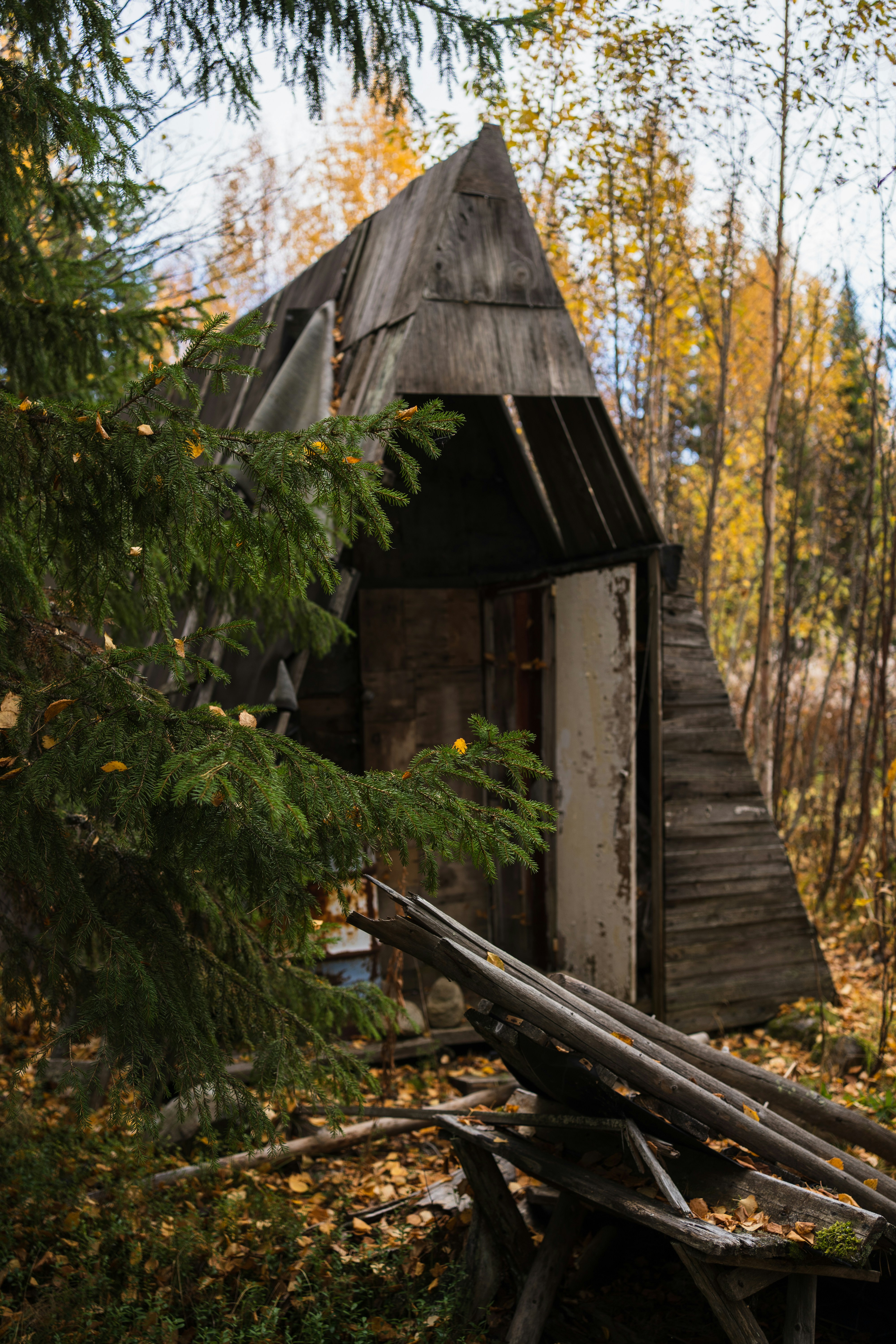 An old run down shack in the woods photo – Free Nature Image on Unsplash