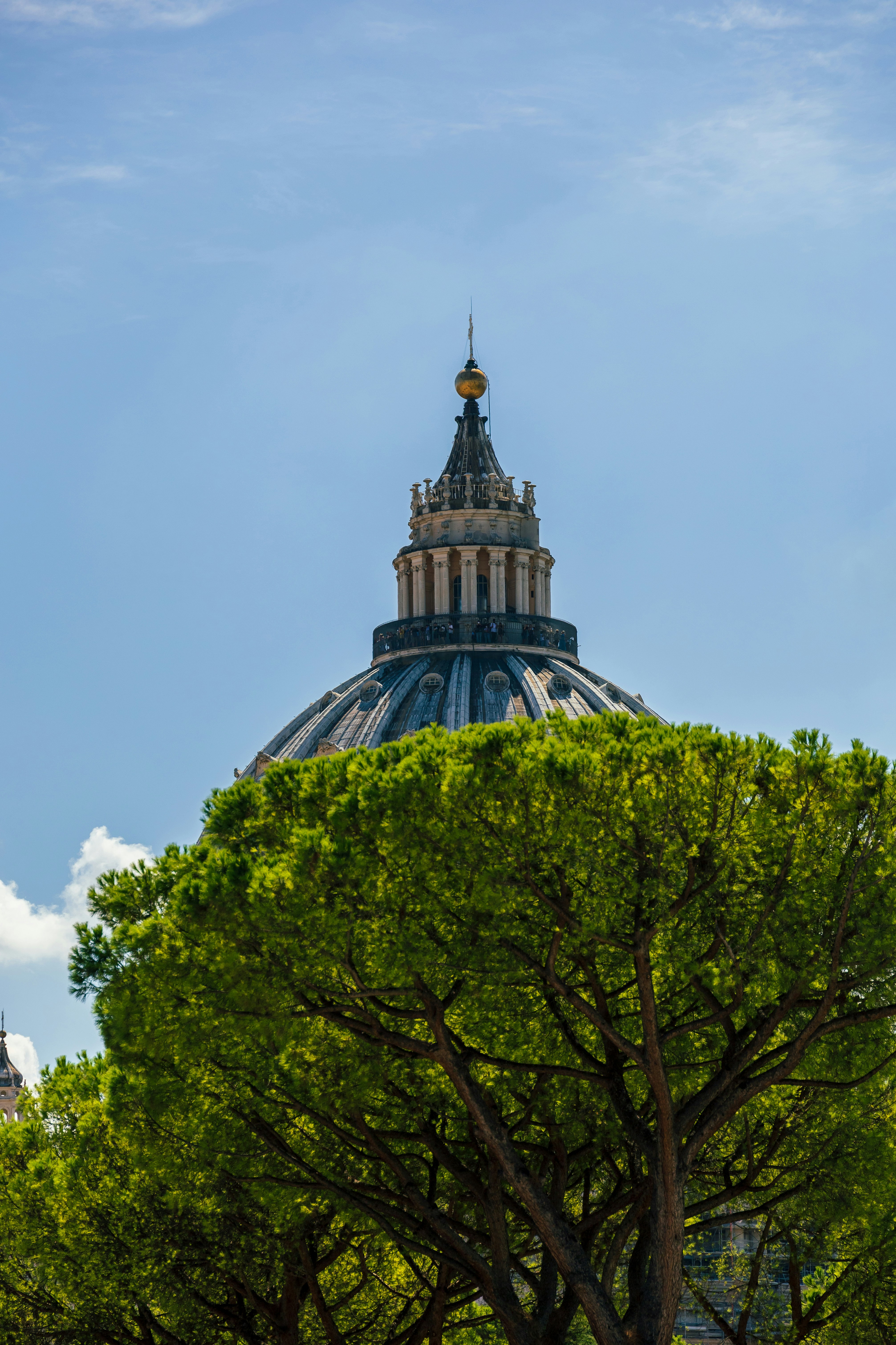 Dome of a historic building partially obscured by lush green trees under a clear blue sky.