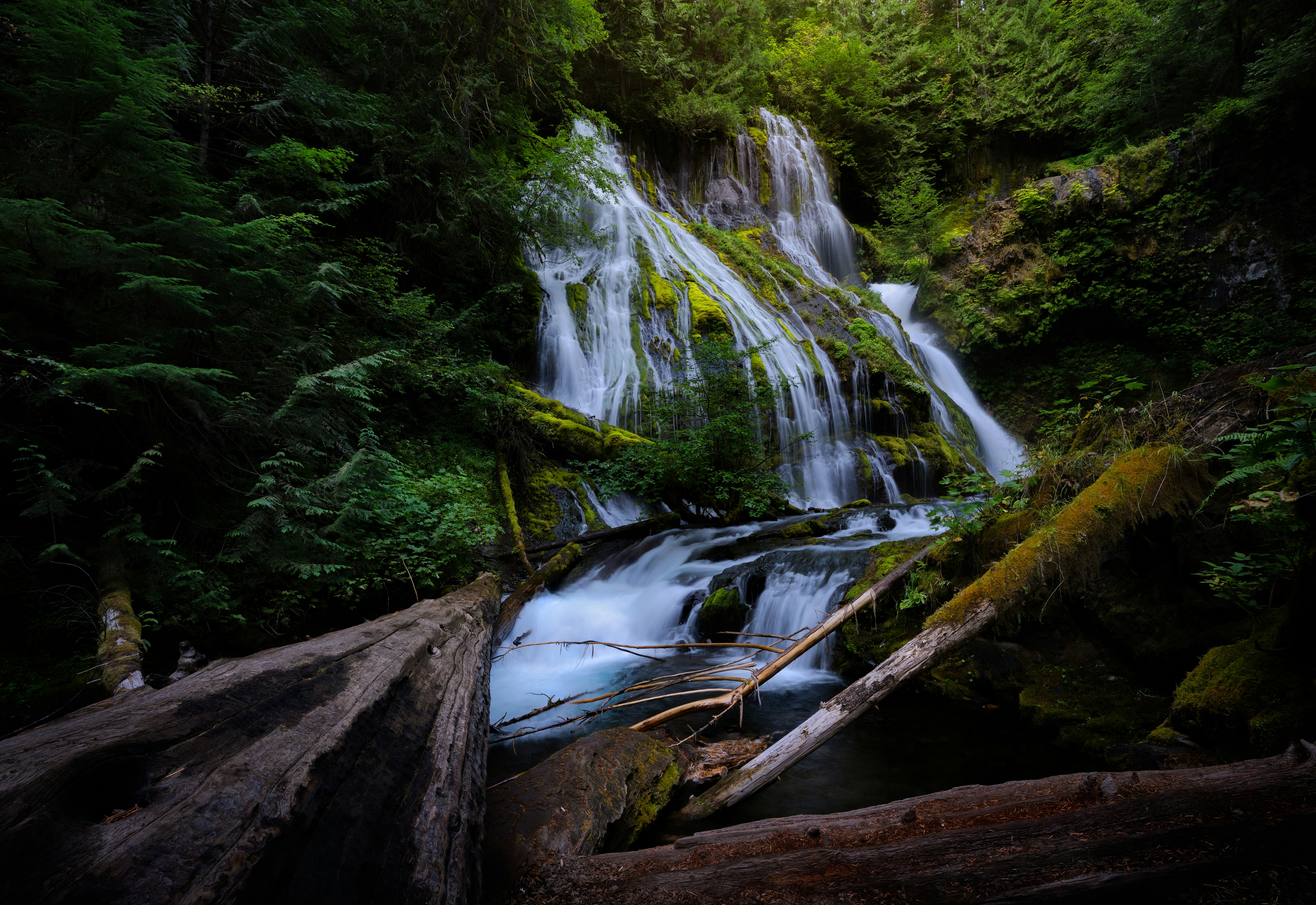Waterfall gently cascading over moss-covered rocks in a lush green forest.