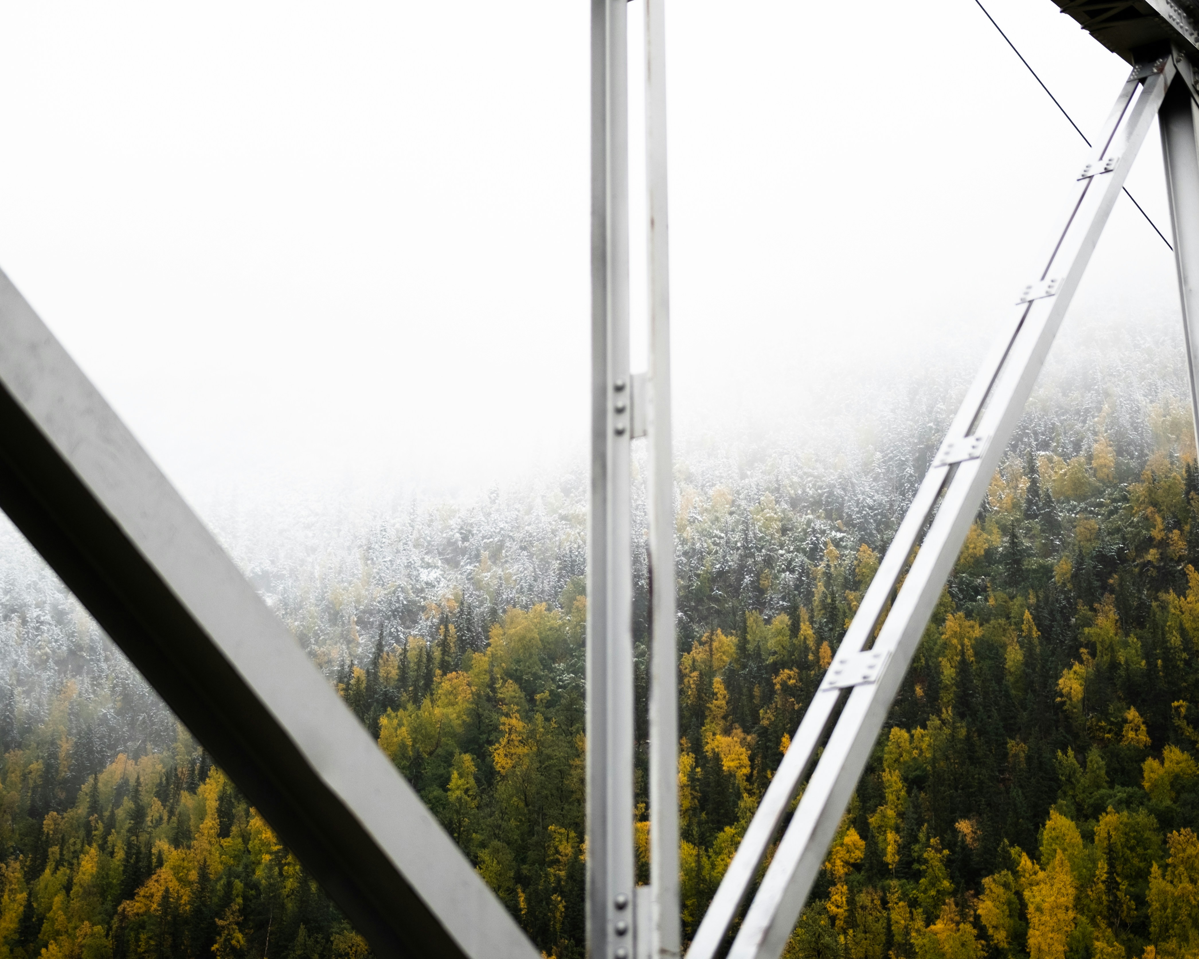 A view of a forest through a window photo – Free Alaska Image on Unsplash