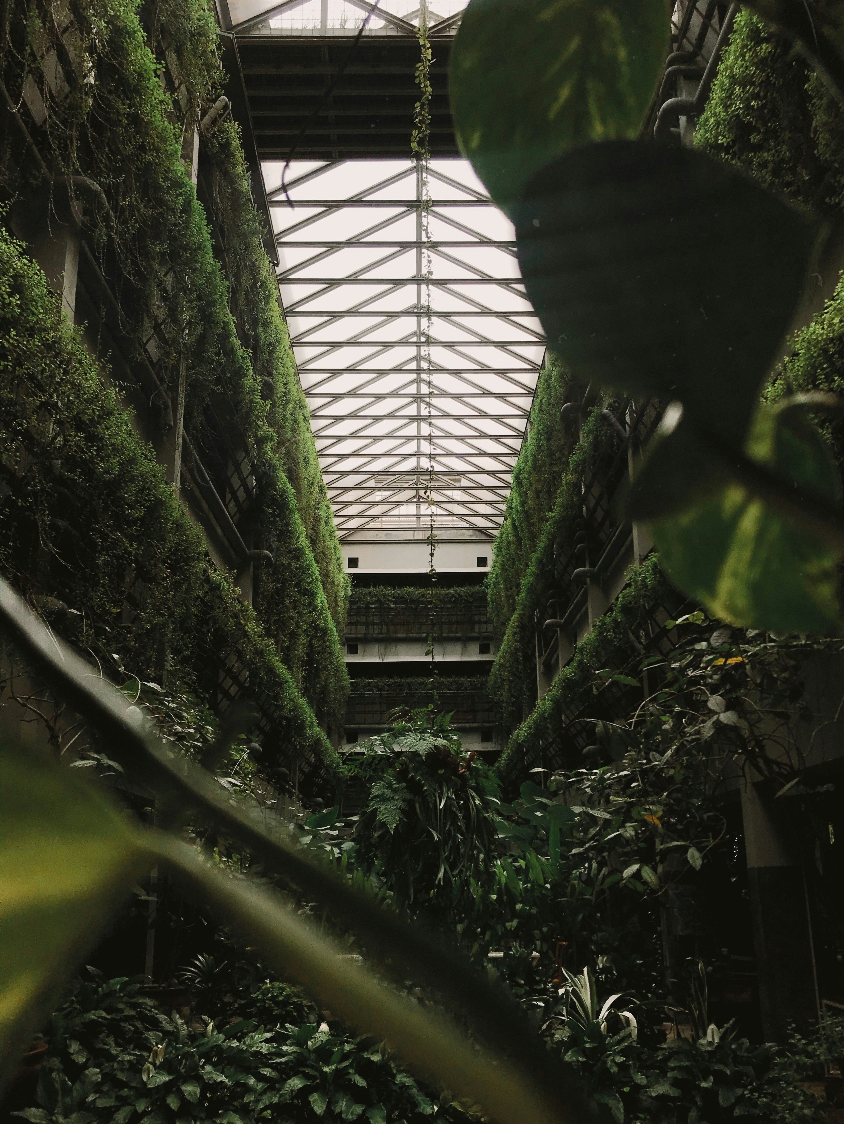 Lush greenery lines the walls of a modern atrium, framed by a glass ceiling that invites natural light. The scene showcases a harmonious blend of nature and architecture.
