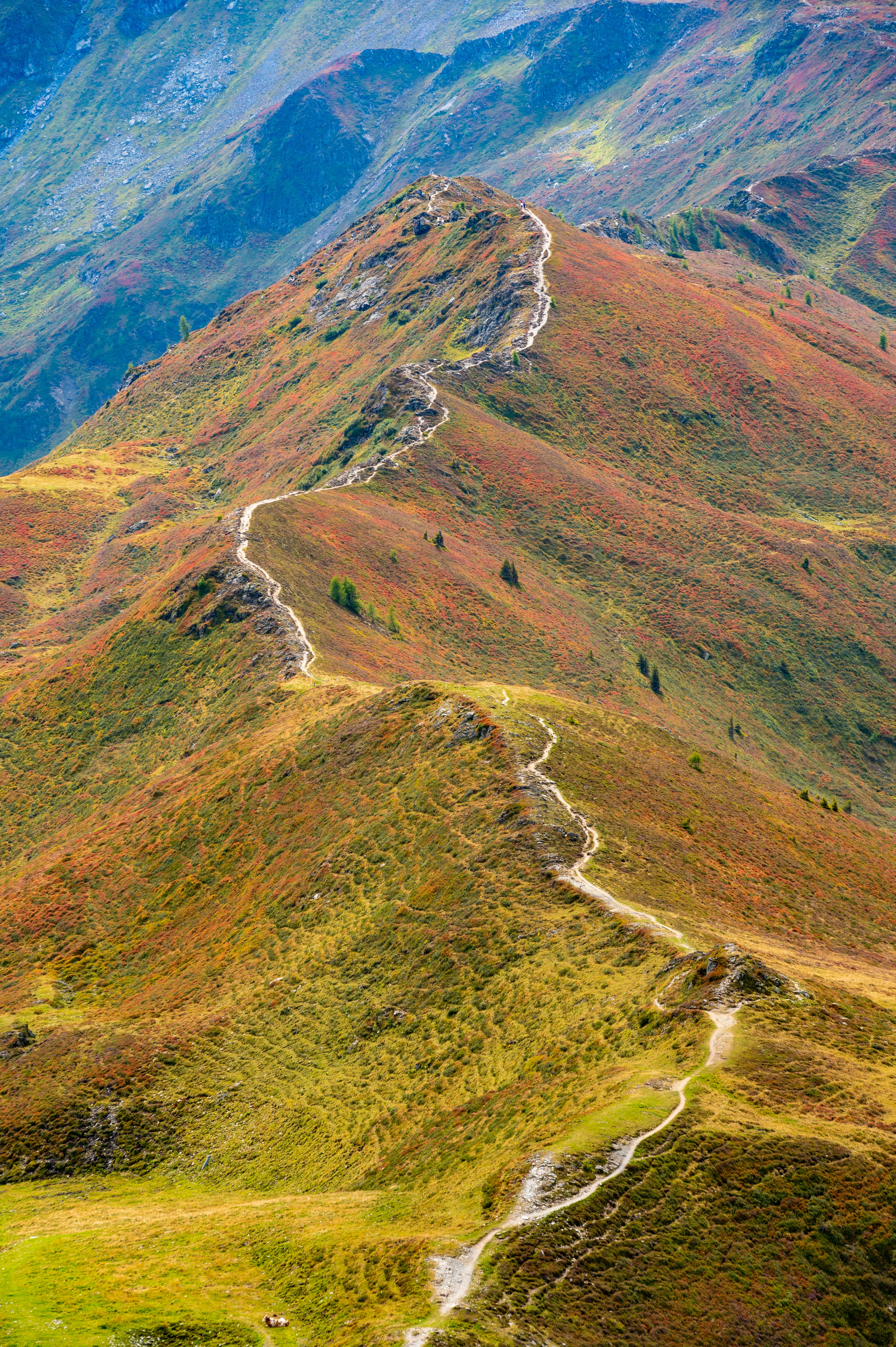 The Winding Spine: Autumn Ridge Trail Across a Mountain Crest