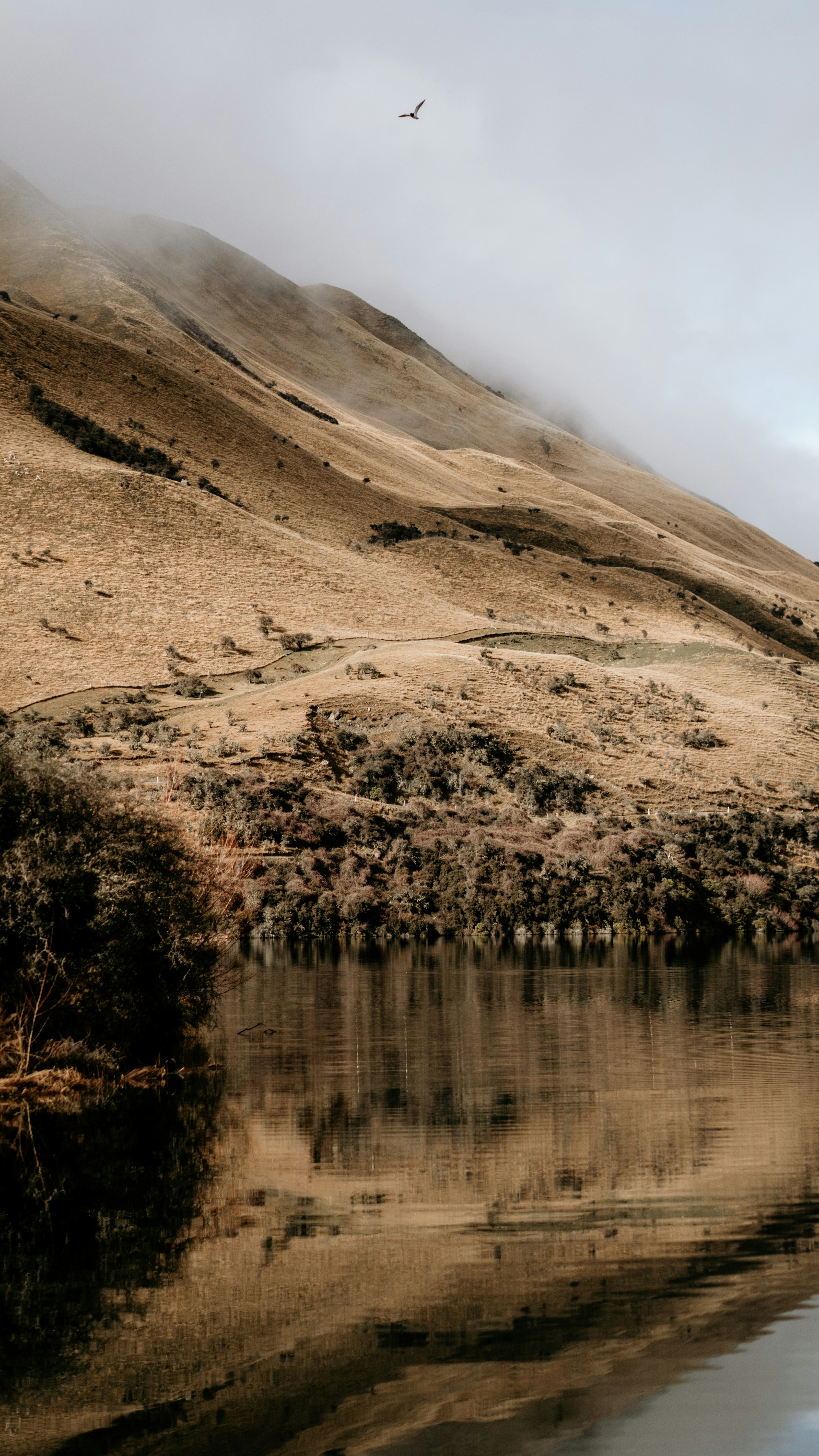 Mist-Lined Hills and a Quiet River, with a Bird in Flight