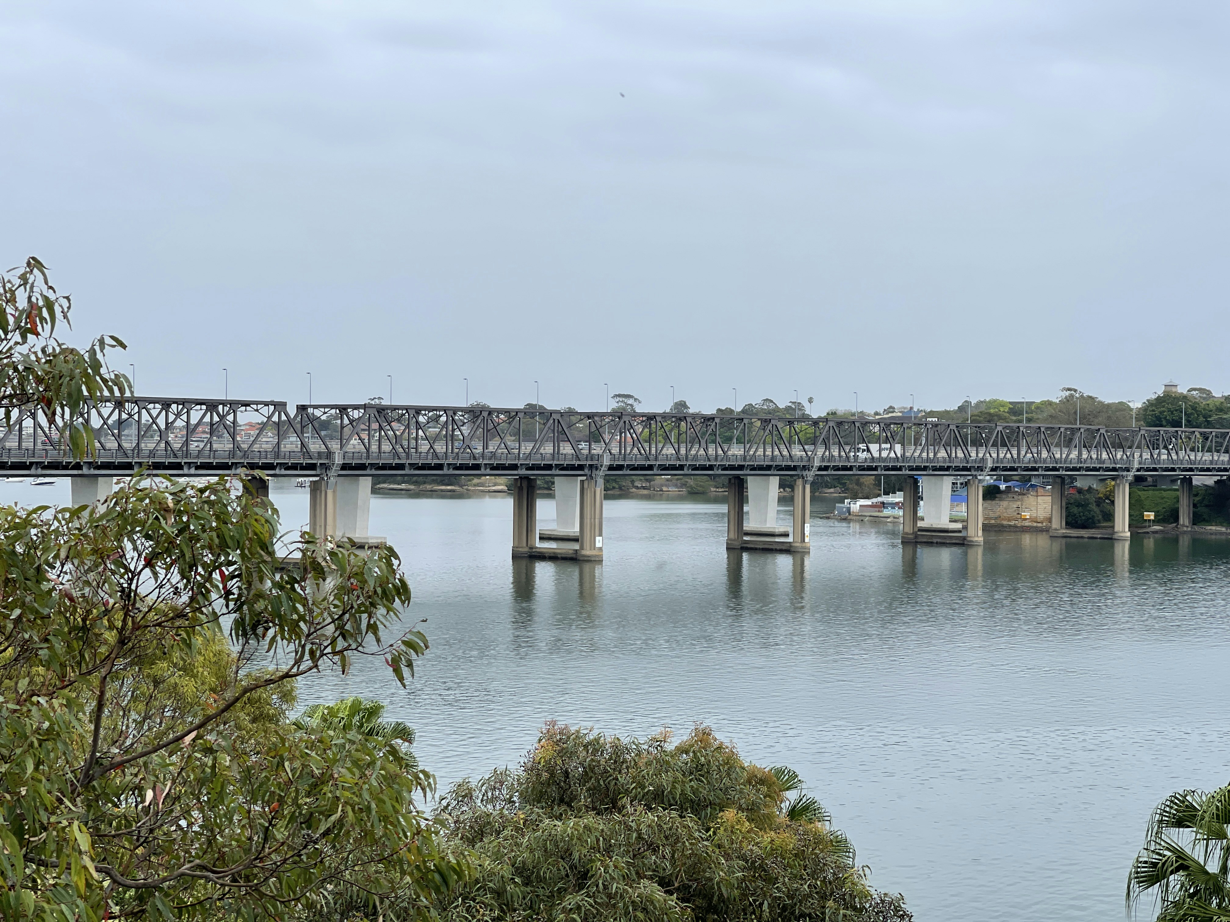 Bridging Nature and Urban Life