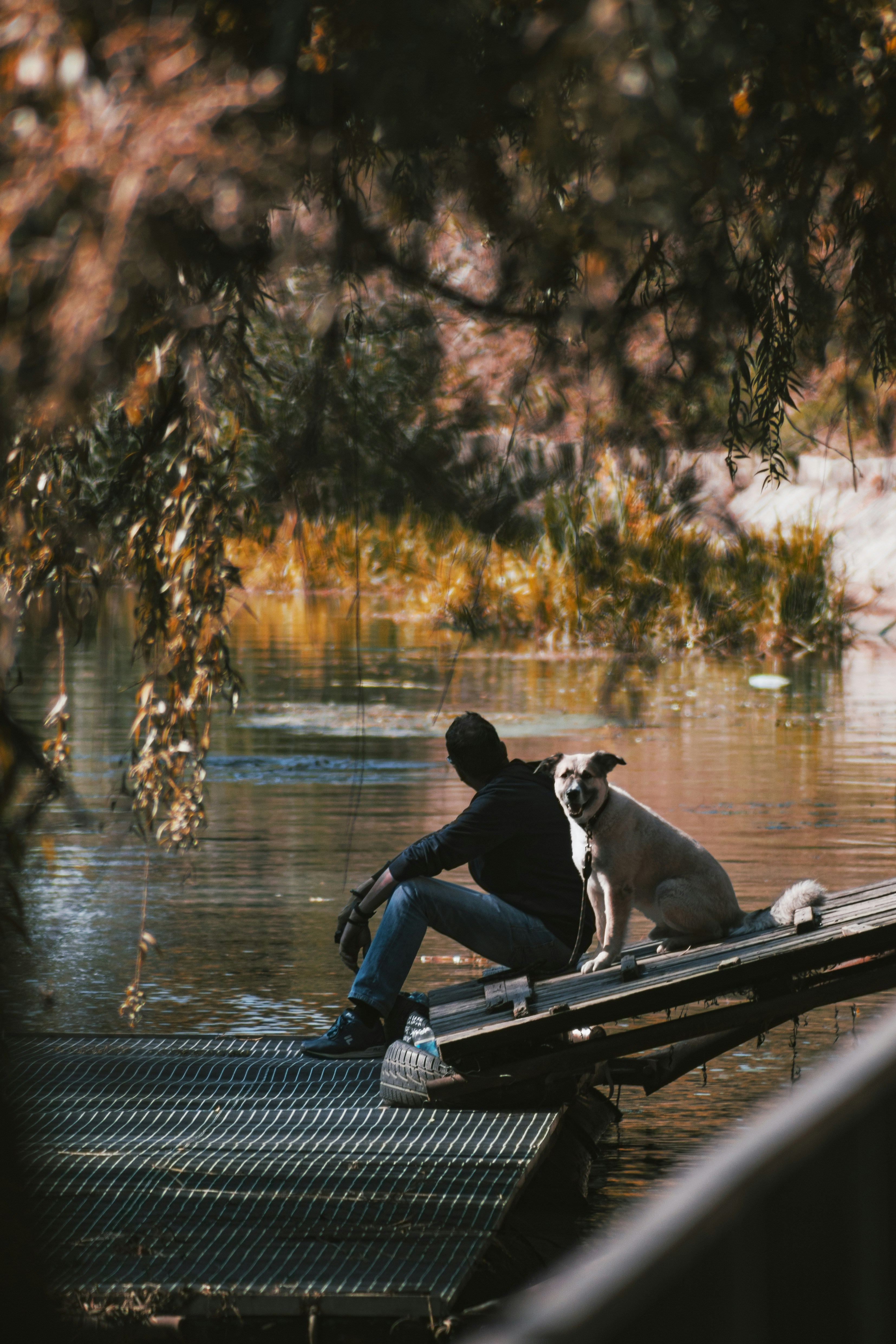 a man sitting on a dock with a dog