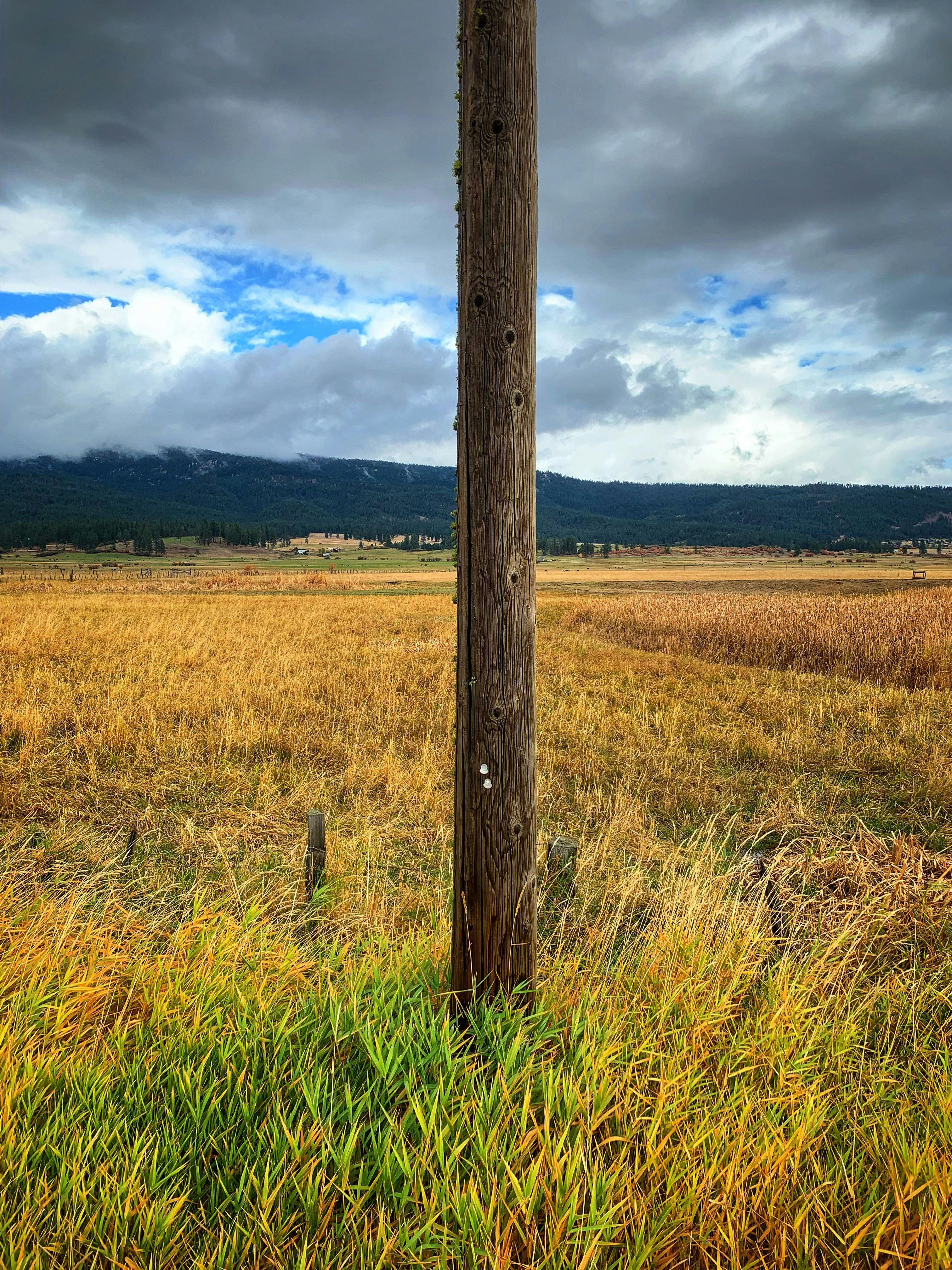 Weathered wooden pole standing amidst golden grasses under a dramatic sky, hinting at the vastness of the landscape.