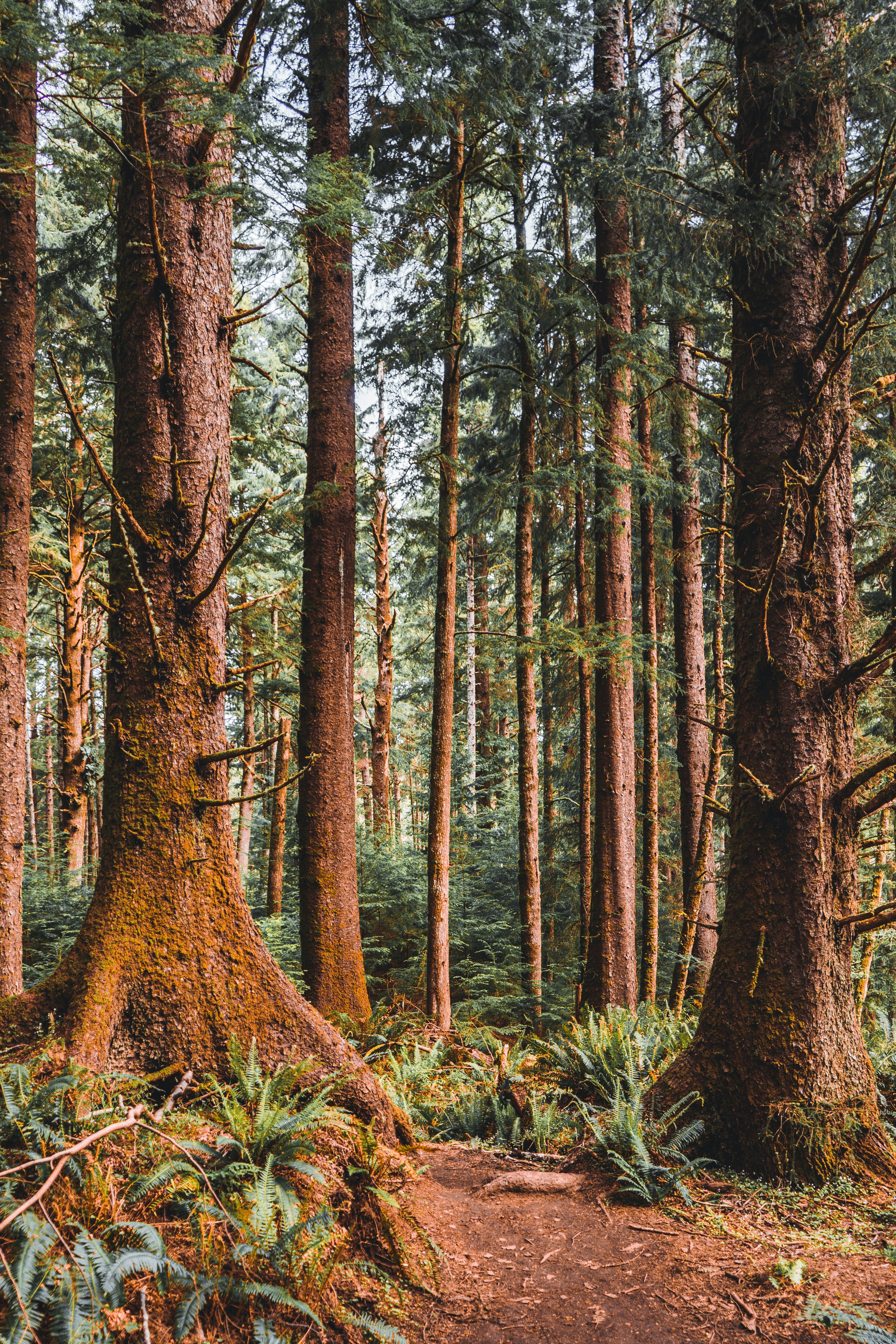 750+ Edit Pictures [HQ] | Download Free Images & Stock Photos on Unsplash