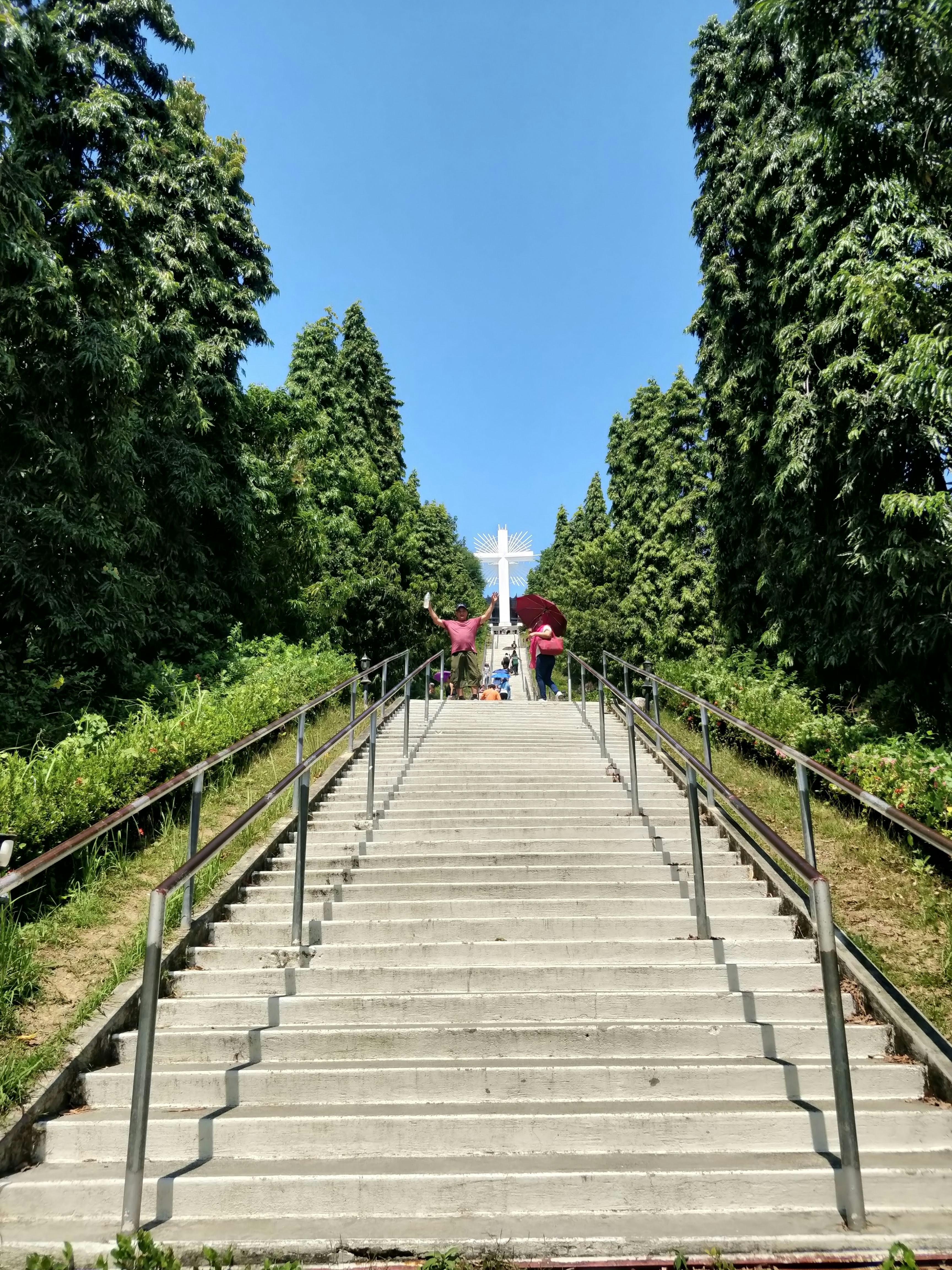 Ascent to Serenity: A Journey Through Nature's Embrace