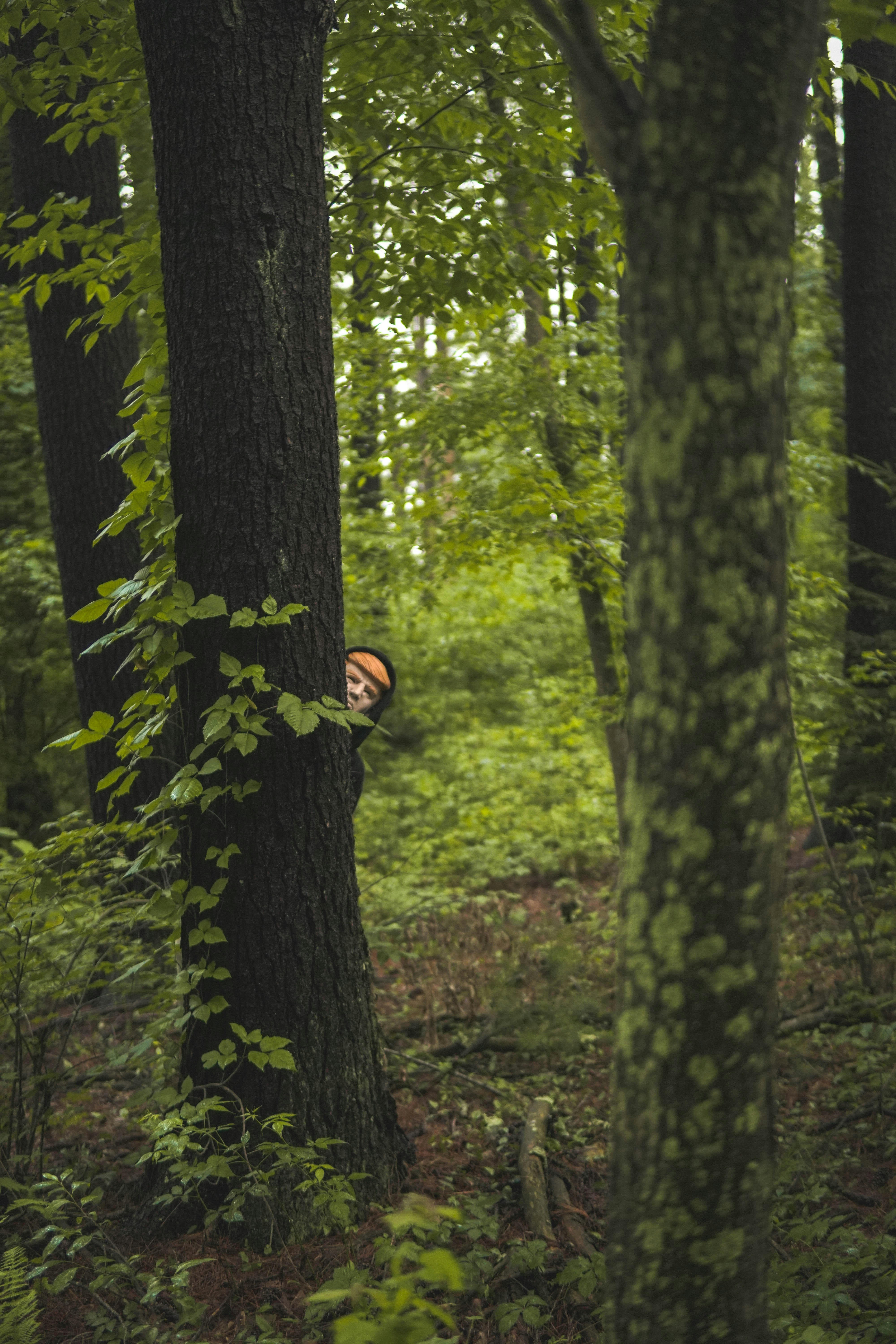 Man Hiding Behind A Tree