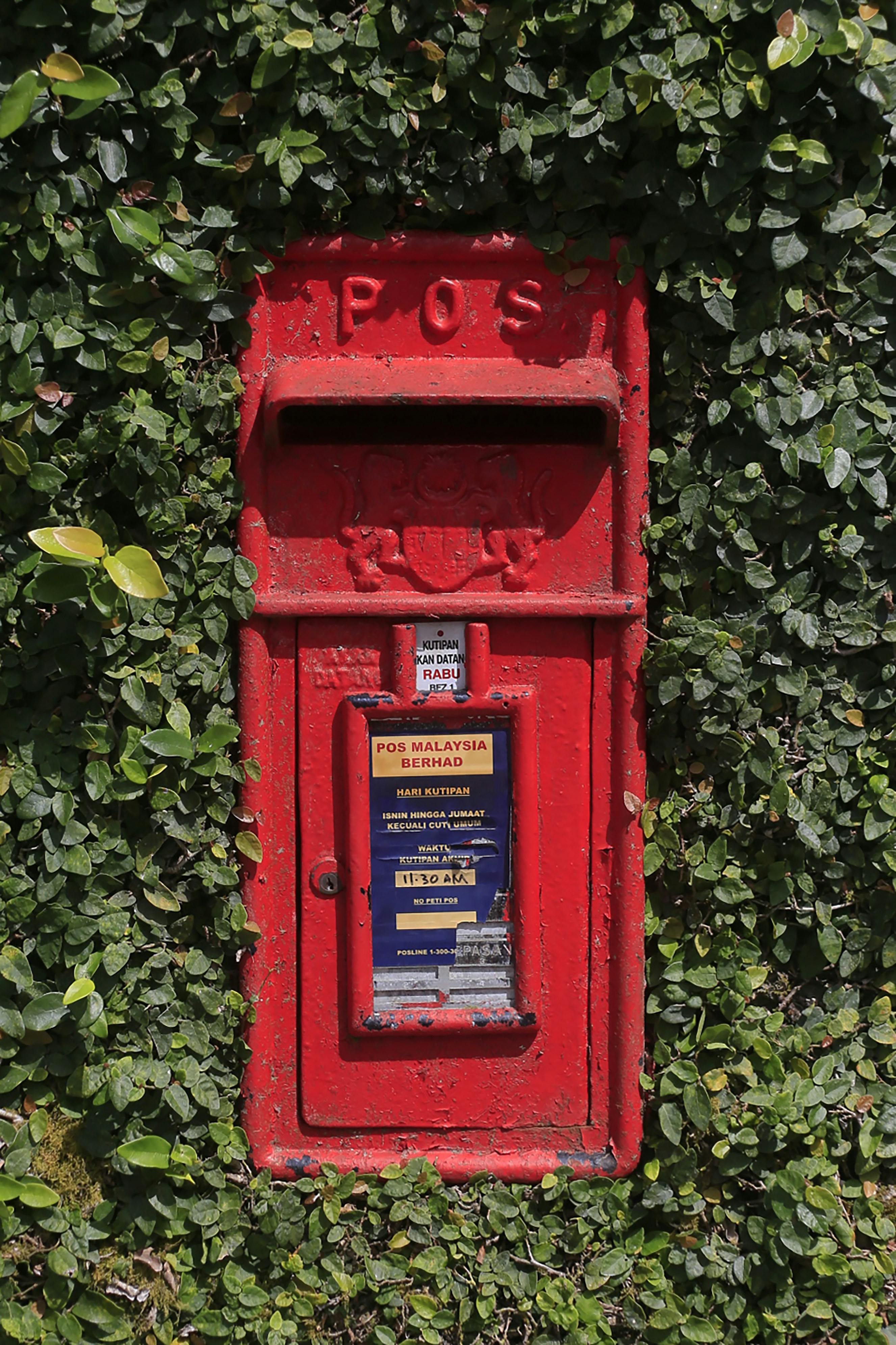 A red mailbox sitting on top of a lush green field photo – Free ...