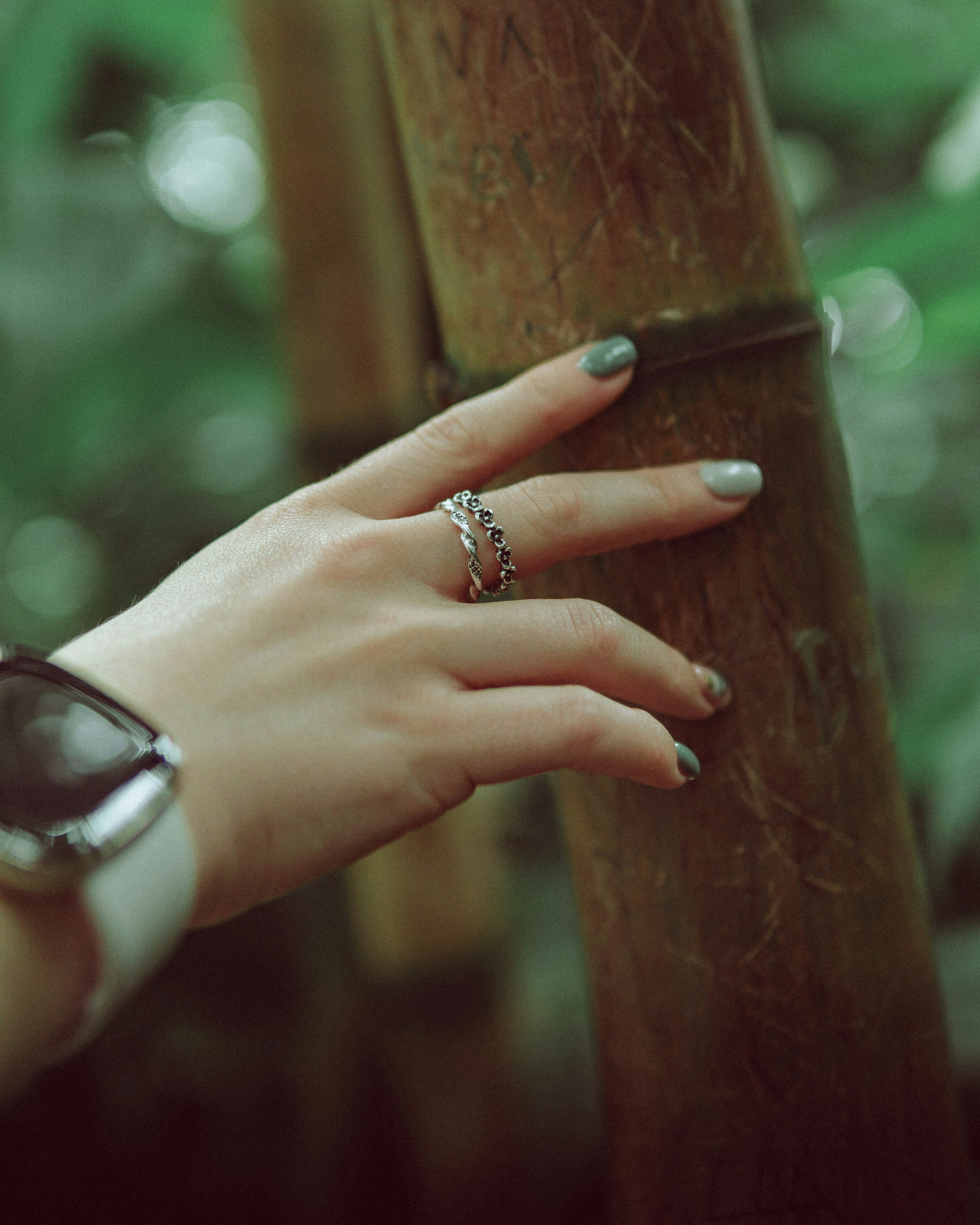 Rings and Bark: A Quiet Hand in the Green