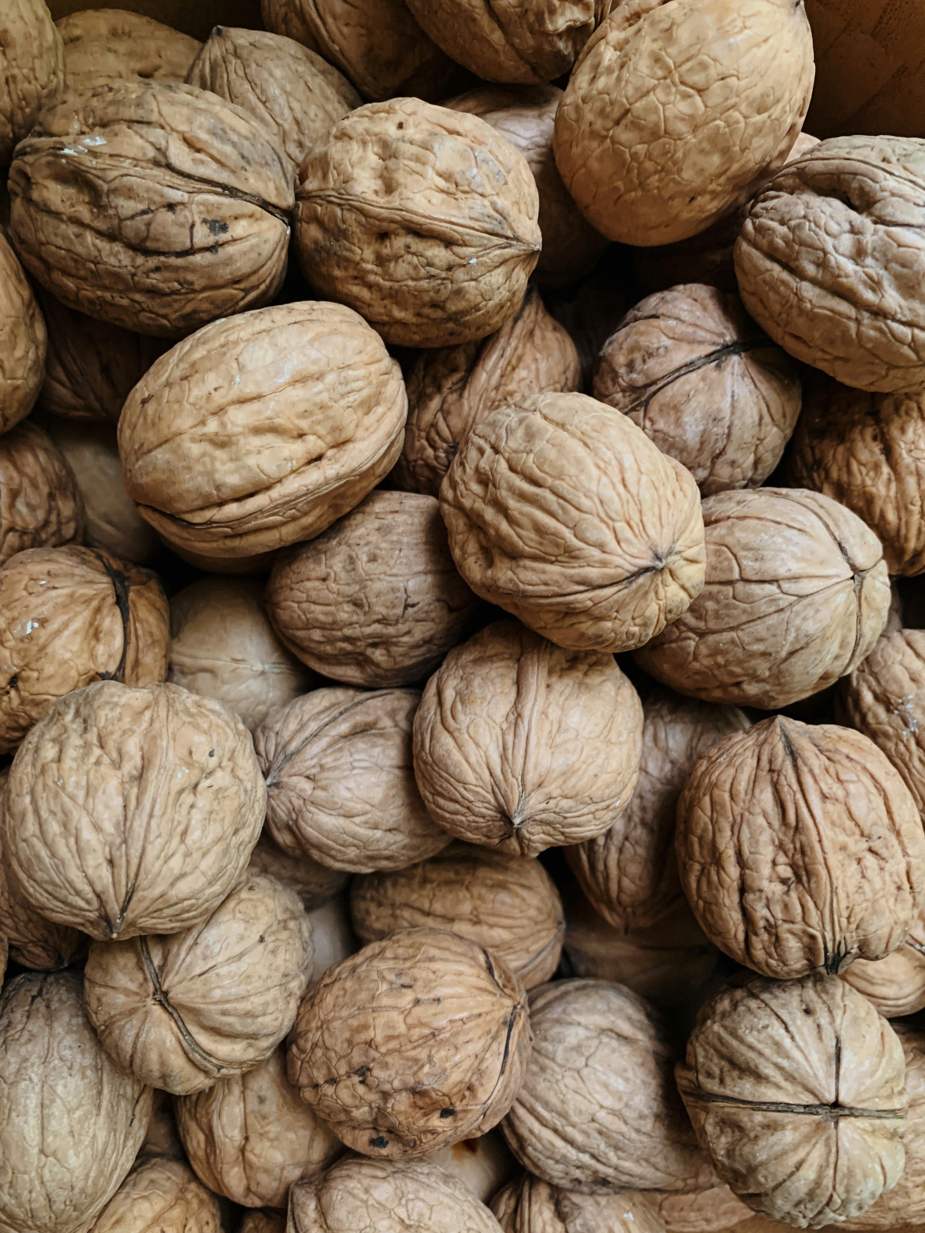 A close-up view of assorted walnuts nestled together, showcasing their textured shells and natural hues.