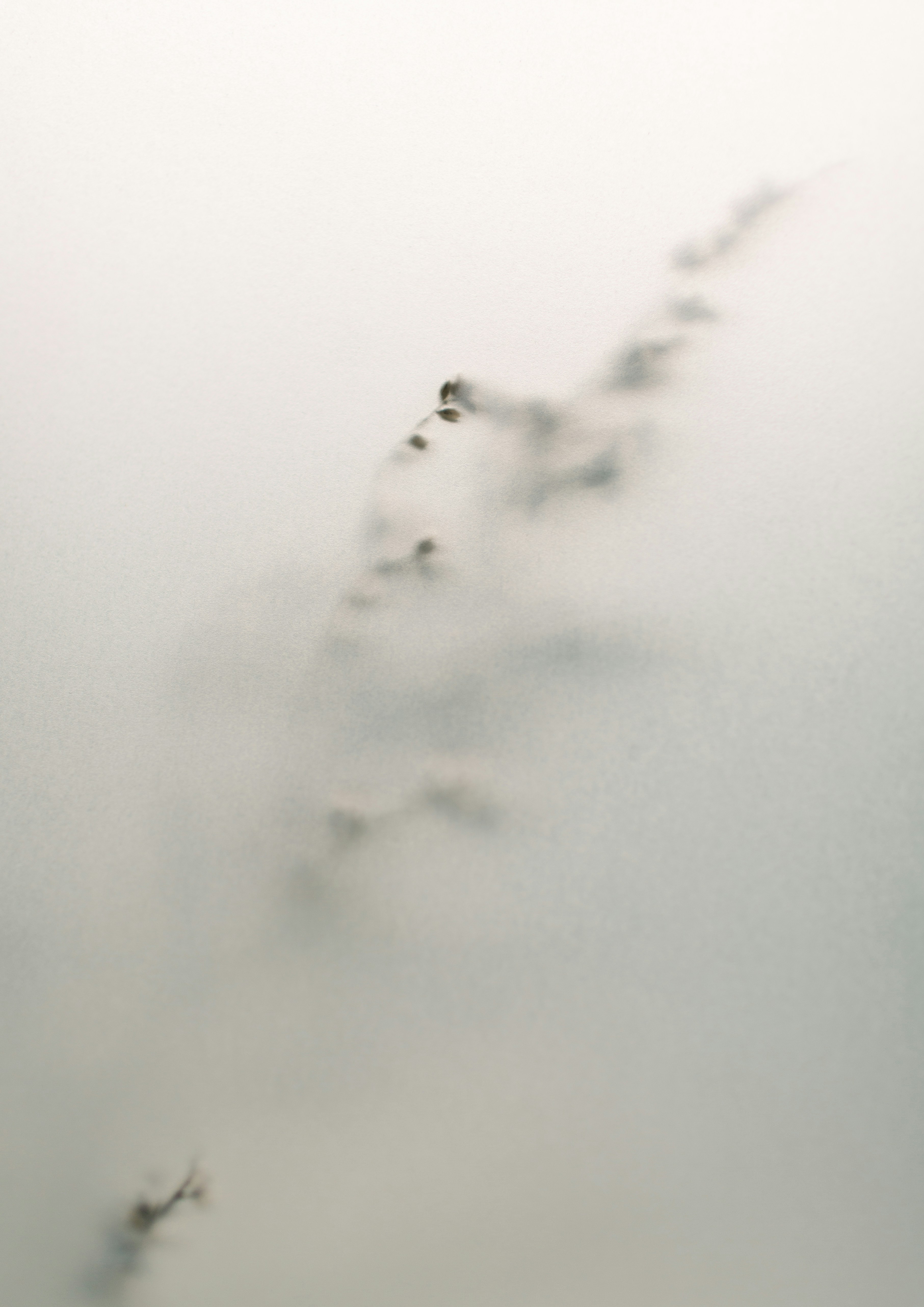 Photo by Kasia Sikorska with Canon EOS 5D Mark III