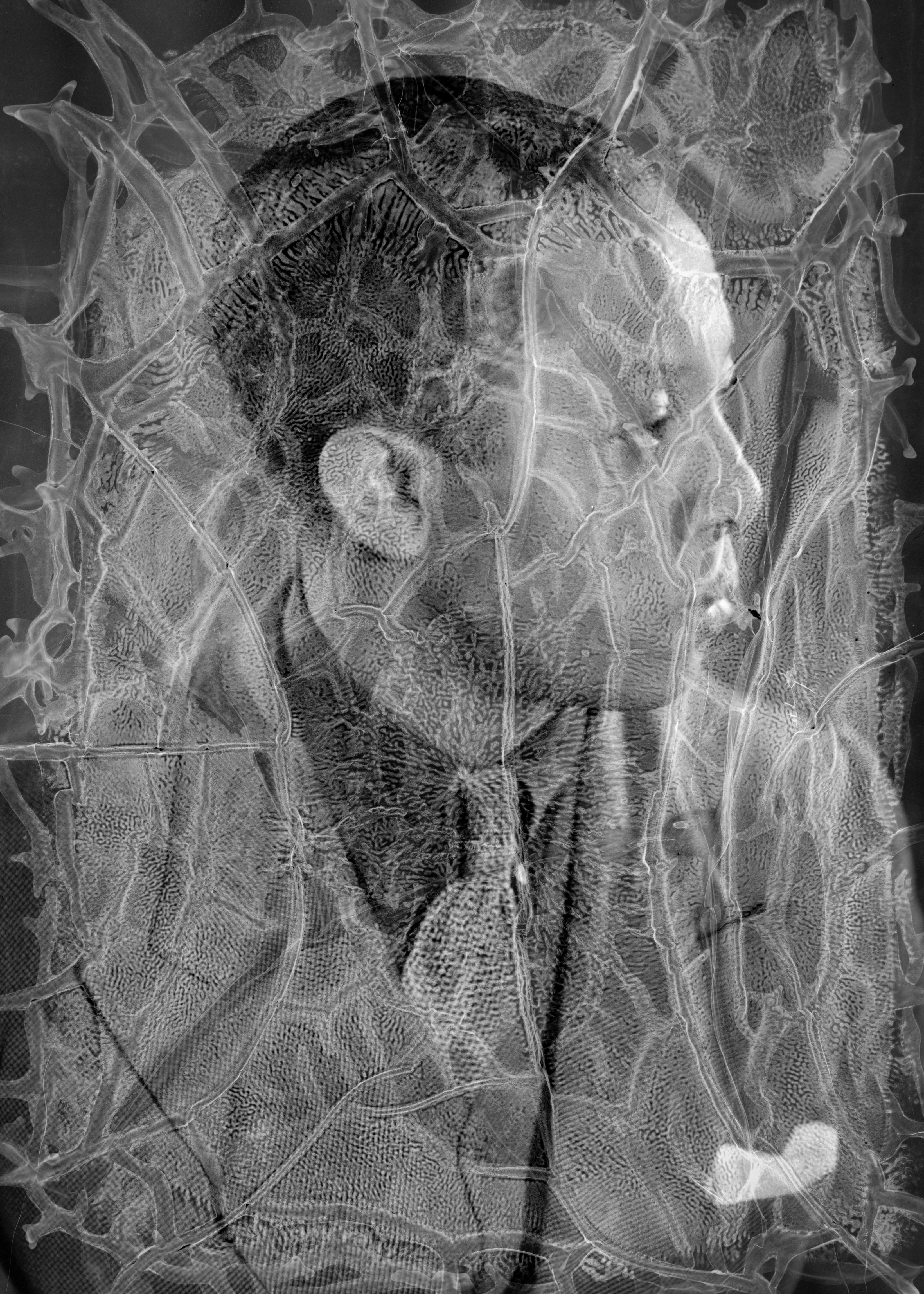 Warped Portraits of the 1930s | 20 best free portrait, history, archive ...