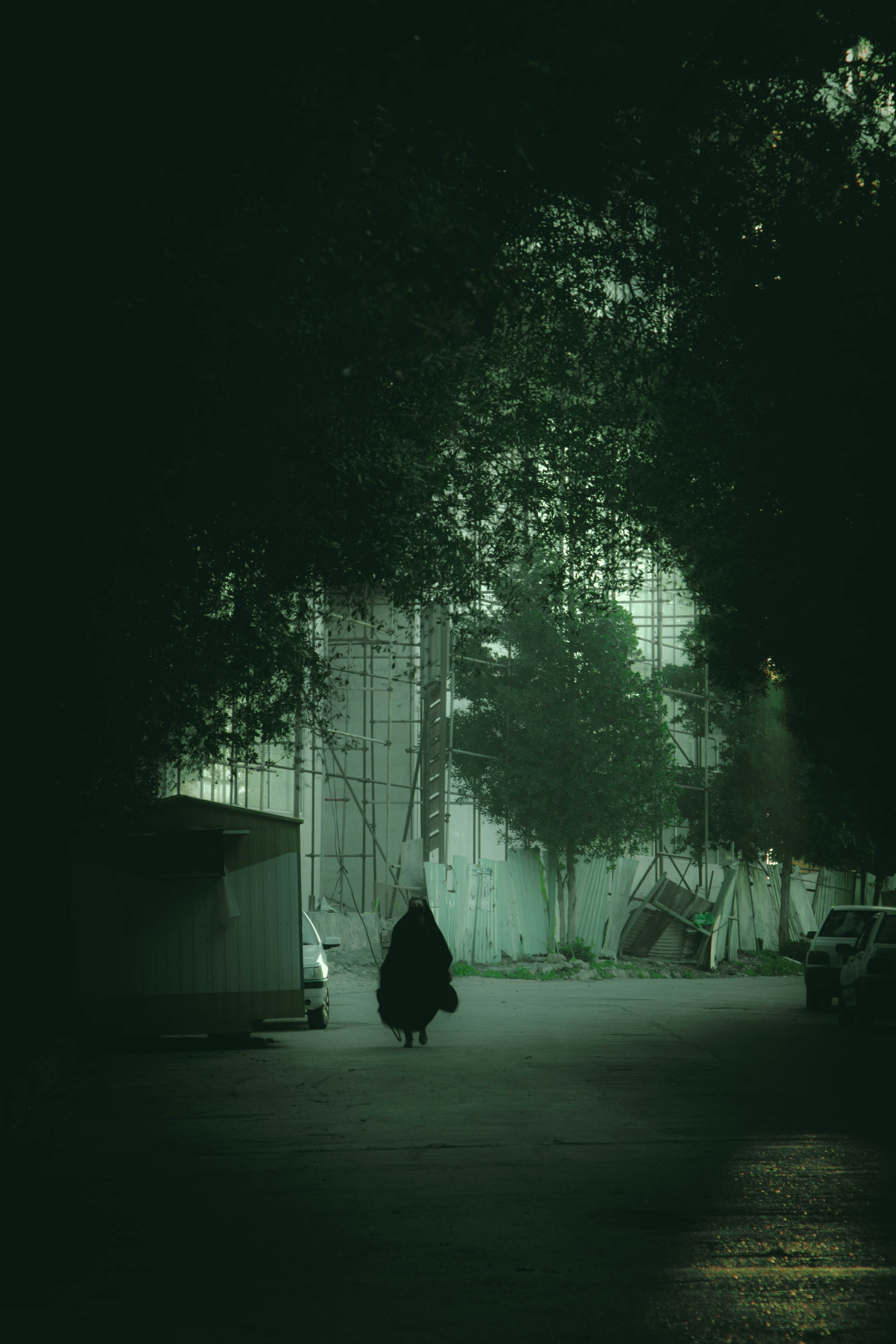 Green Cathedral Corridor: A lone figure walks toward the pale light beyond an urban canopy
