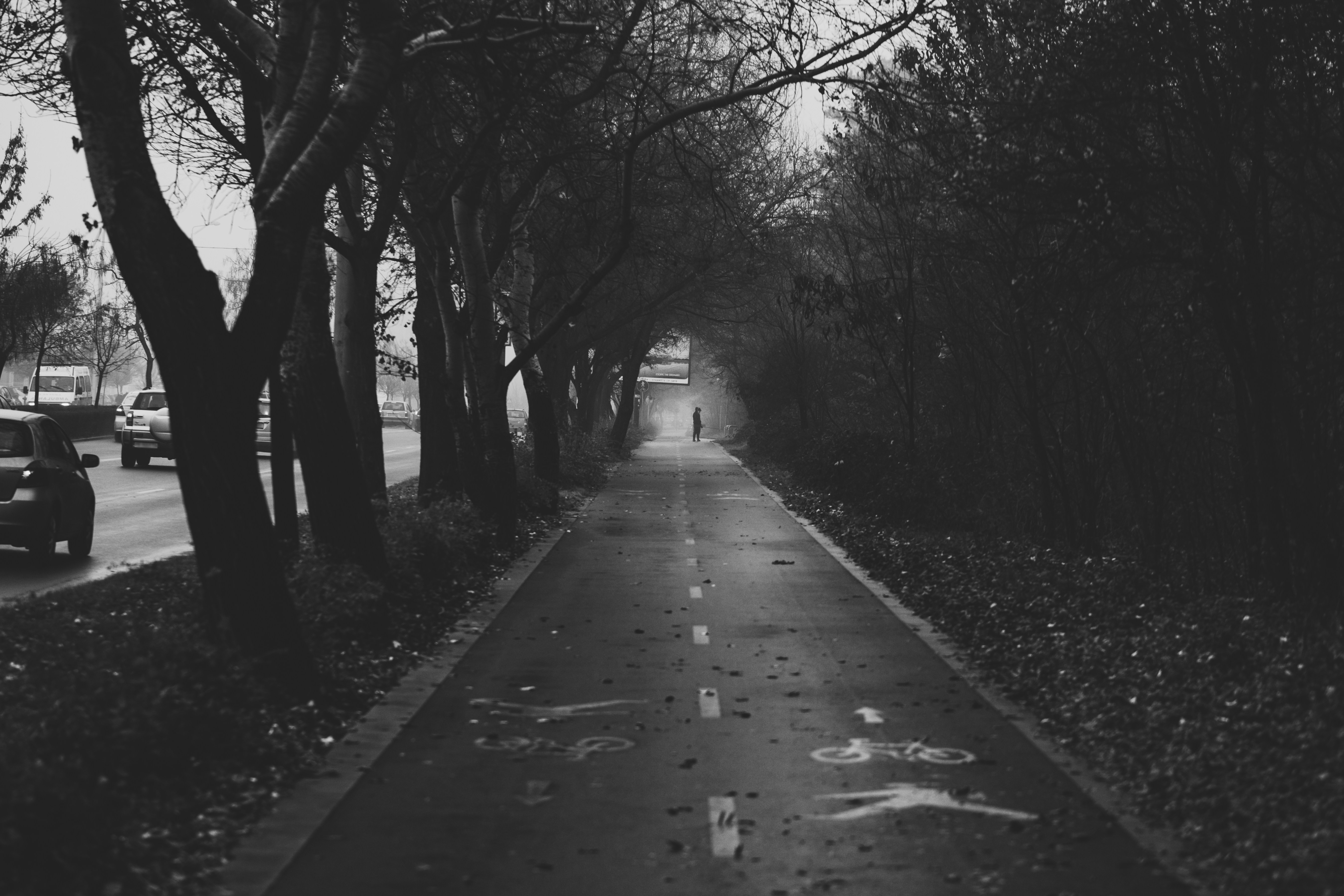A black and white photo of a bike path photo – Free Grey Image on Unsplash