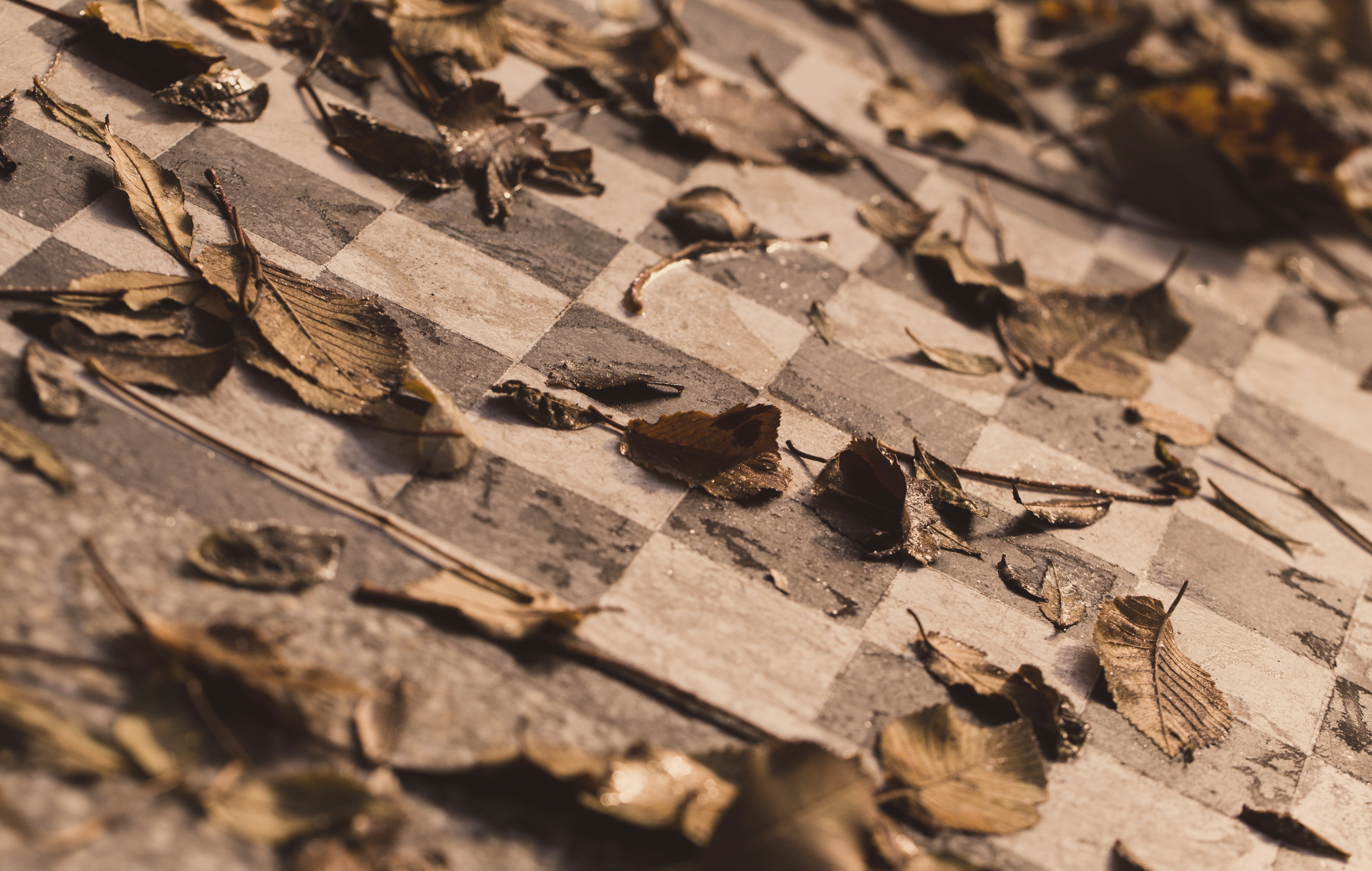 Fallen leaves scattered across a weathered chessboard, blending nature with nostalgia. The interplay of textures tells a story of seasons passing.