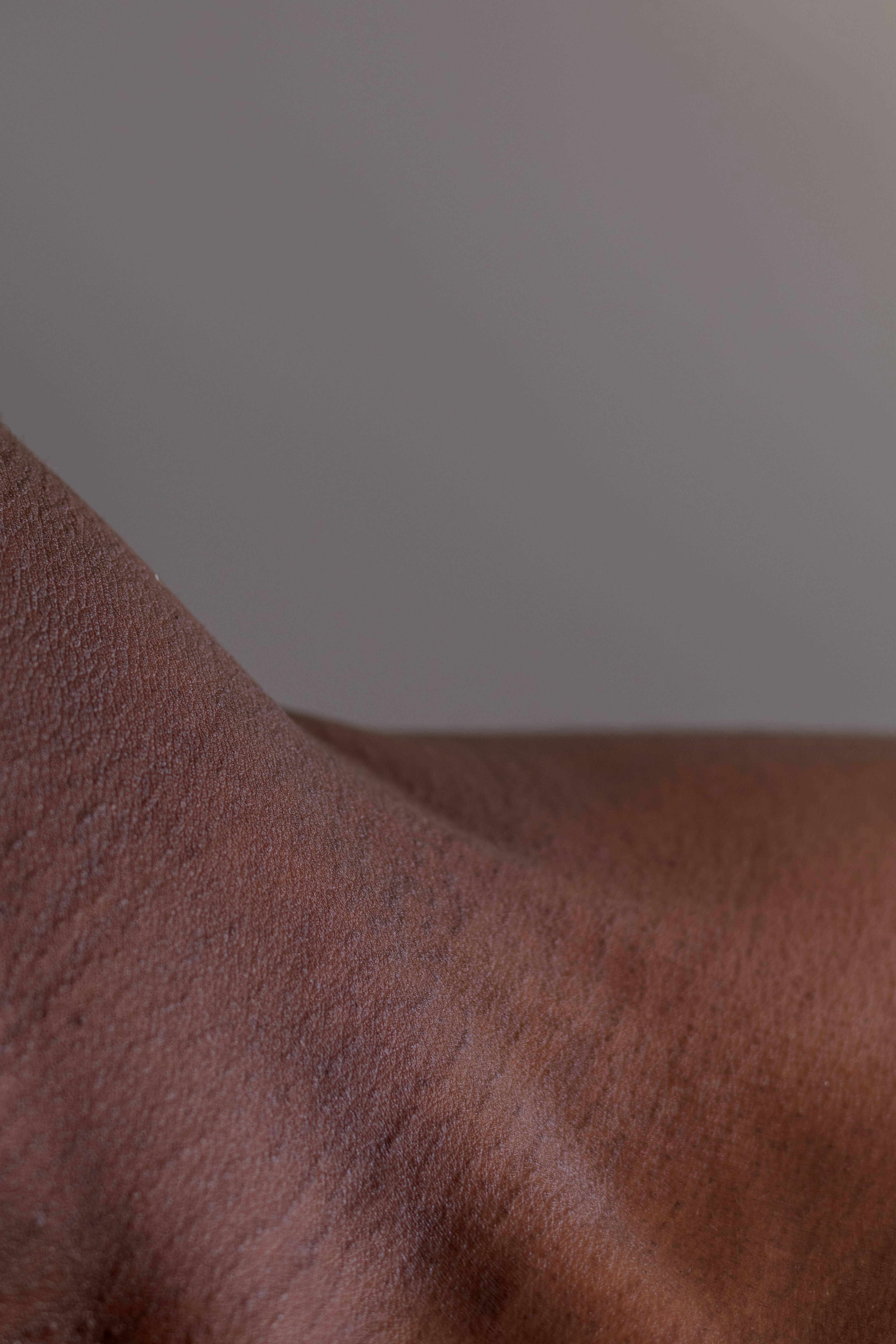 Body Parts | 75 best free body, skin, human and neck photos on Unsplash