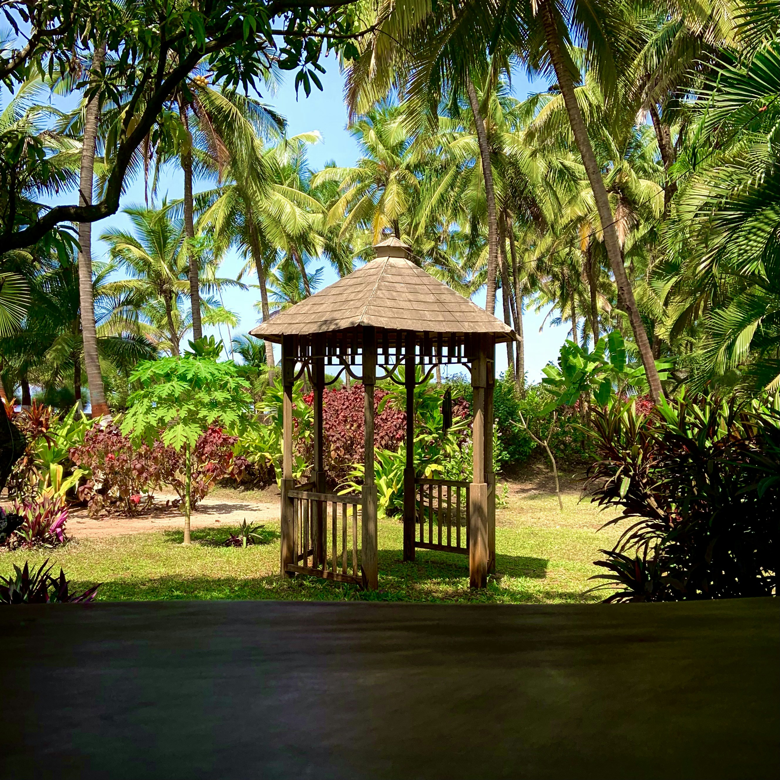 A charming gazebo nestled among lush tropical foliage, surrounded by vibrant flowers and palm trees. Perfect spot for relaxation and enjoying nature's beauty.