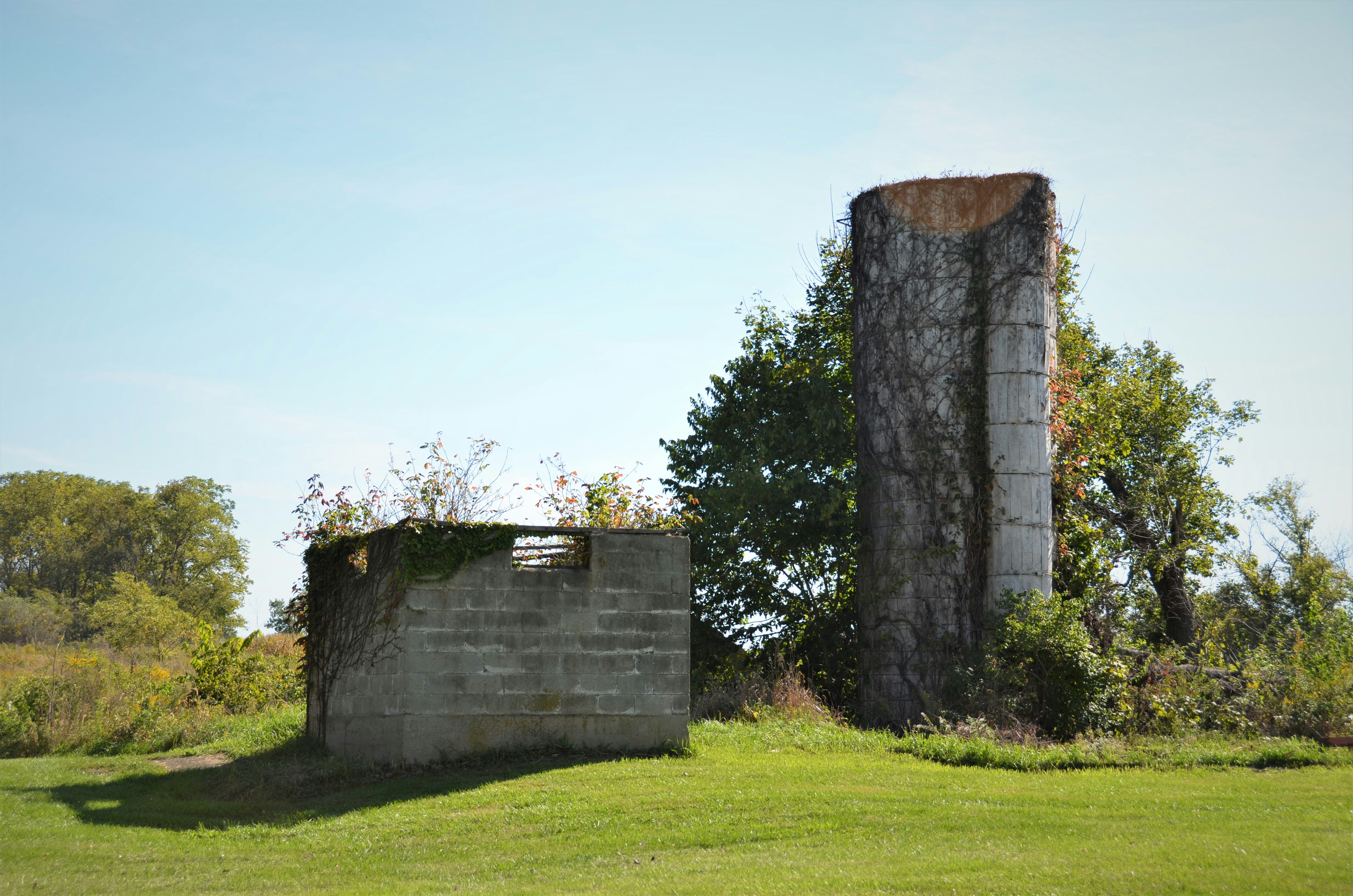 A large tree stump sitting next to a cement structure photo – Free ...