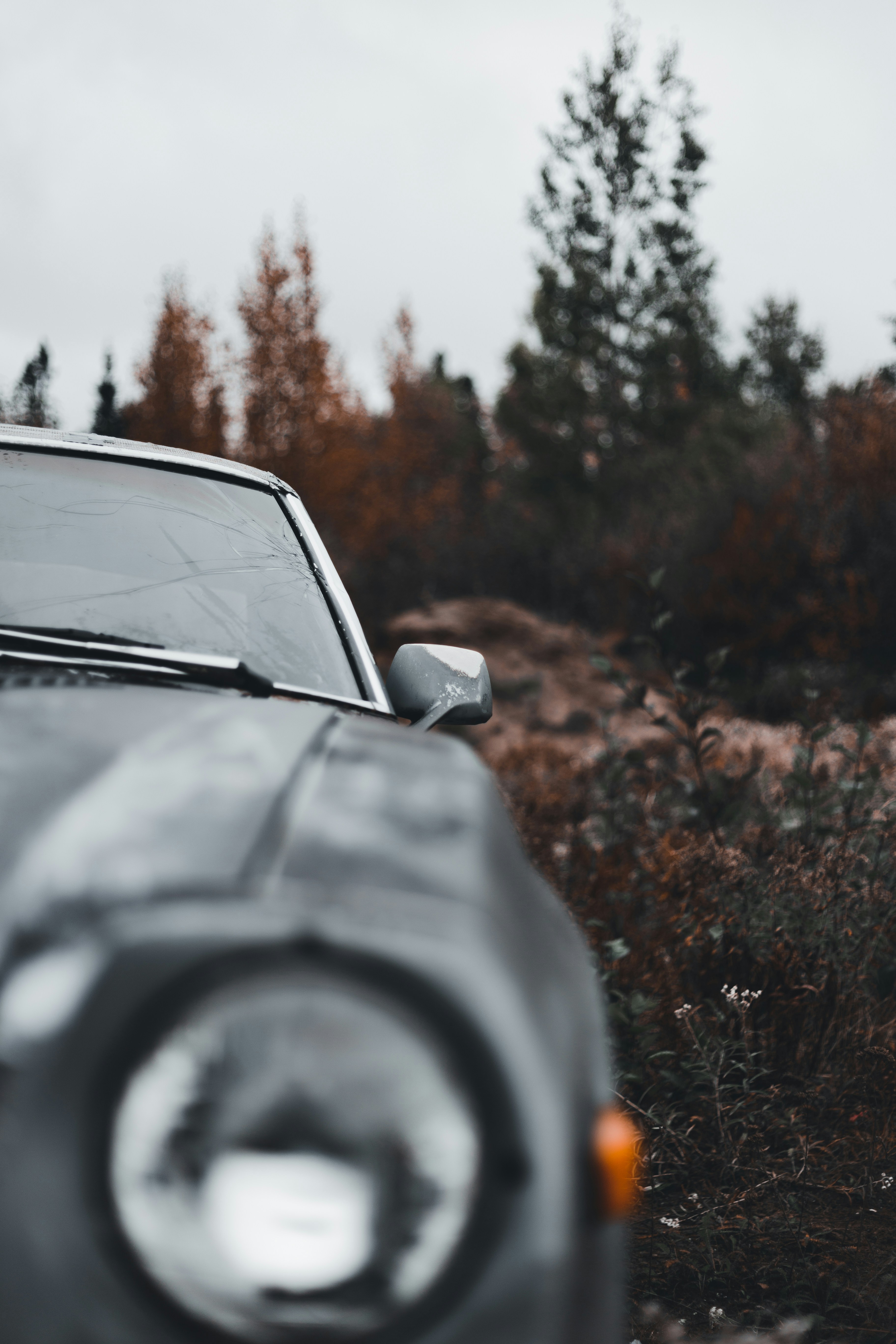 Classic car partially obscured by foliage, evoking a sense of nostalgia and abandonment. The moody atmosphere enhances the vintage appeal.