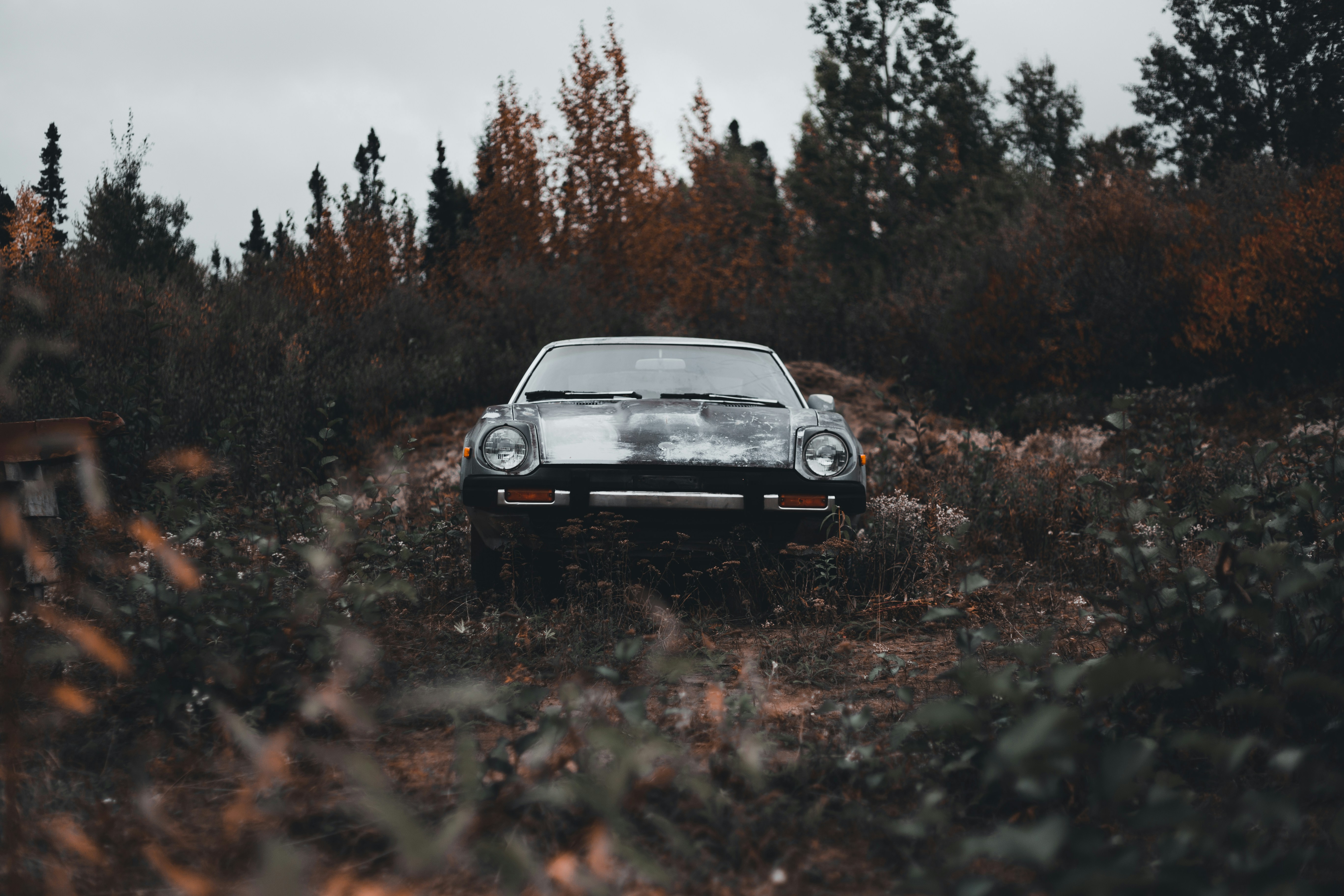 Classic car partially obscured by overgrown vegetation in a moody forest setting.