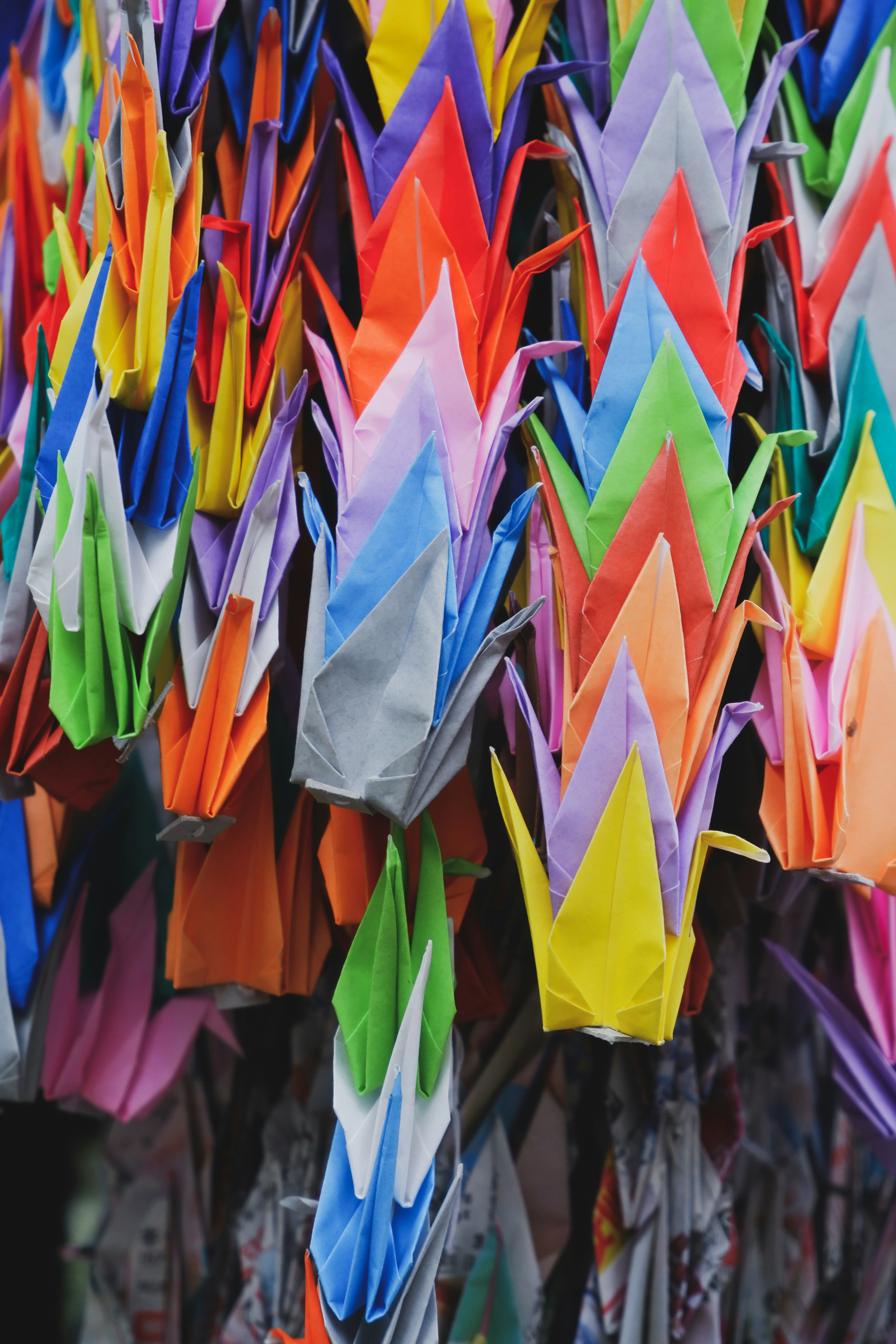 A bunch of colorful kites hanging from a pole photo – Free Tokyo Image ...