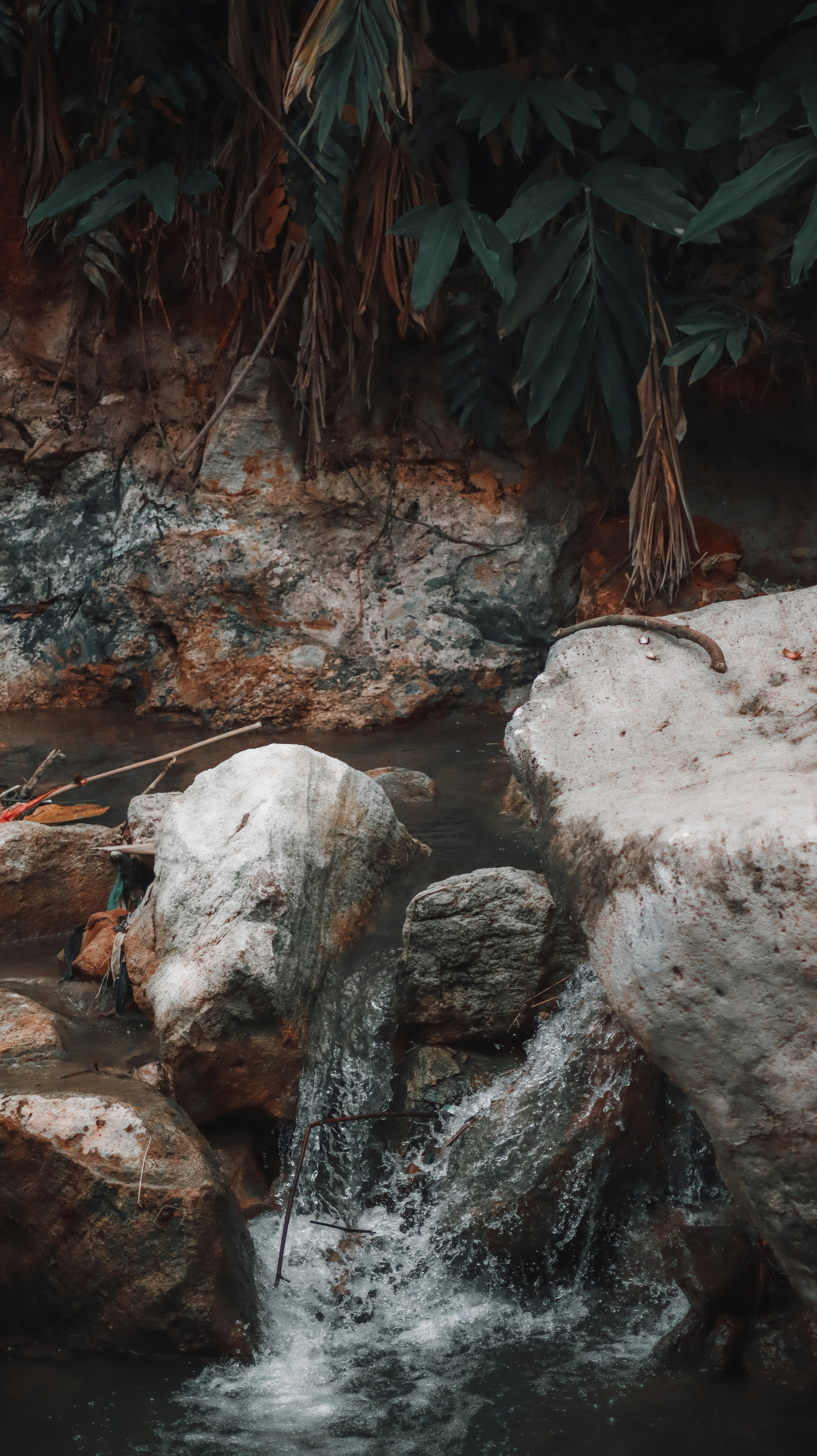 Murmur of Stones: A Quiet Cascade Beneath Shadowed Foliage