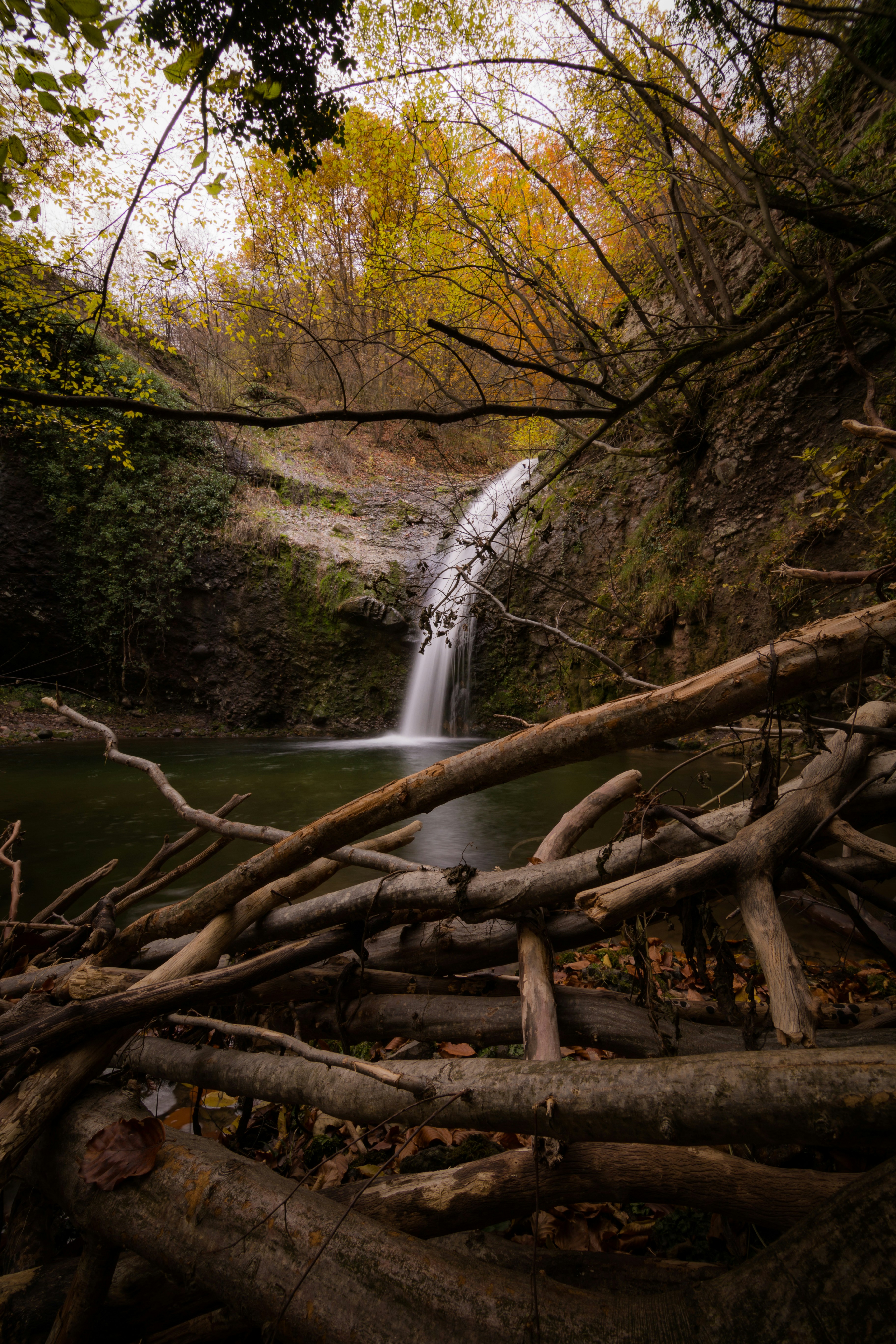 A waterfall surrounded by trees and fallen branches photo – Free Nature ...
