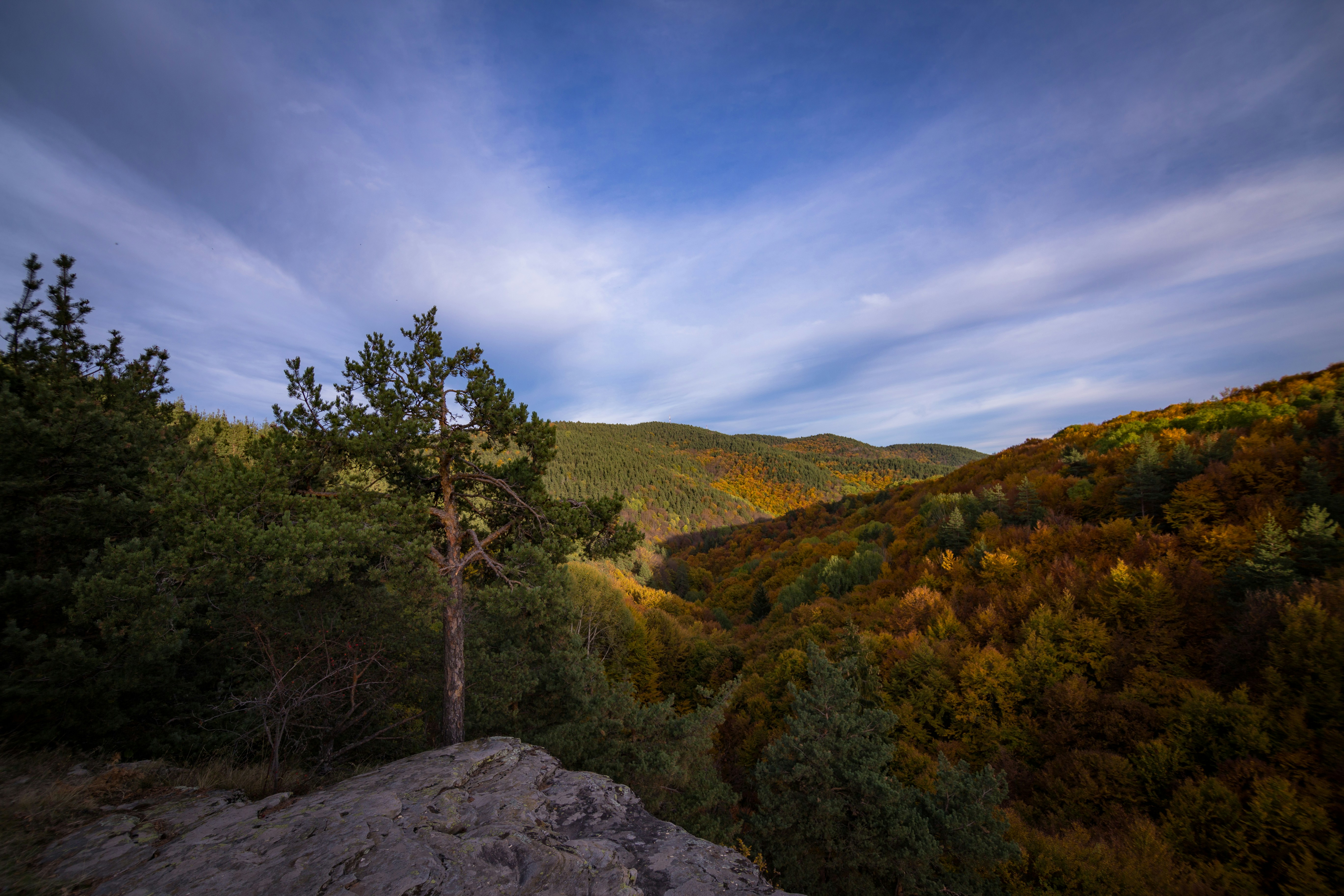 Une vue panoramique d’une montagne avec des arbres au premier plan ...