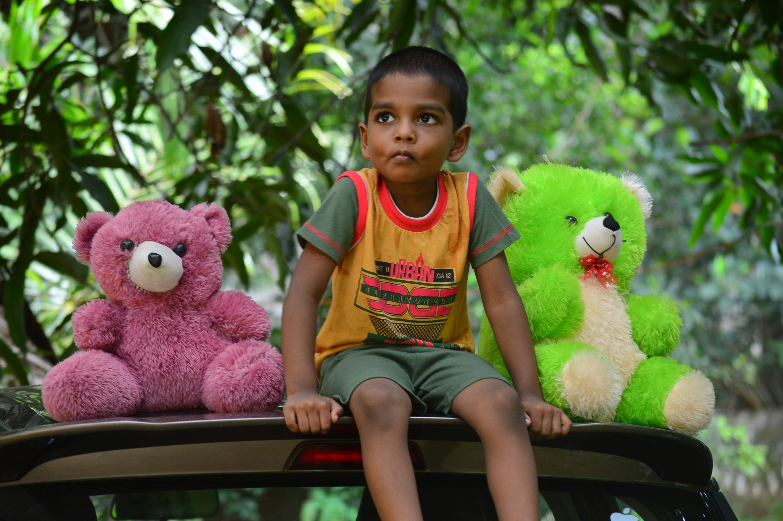 Child on a Car Roof: Tug-of-Toy Companions in a Green Canopy