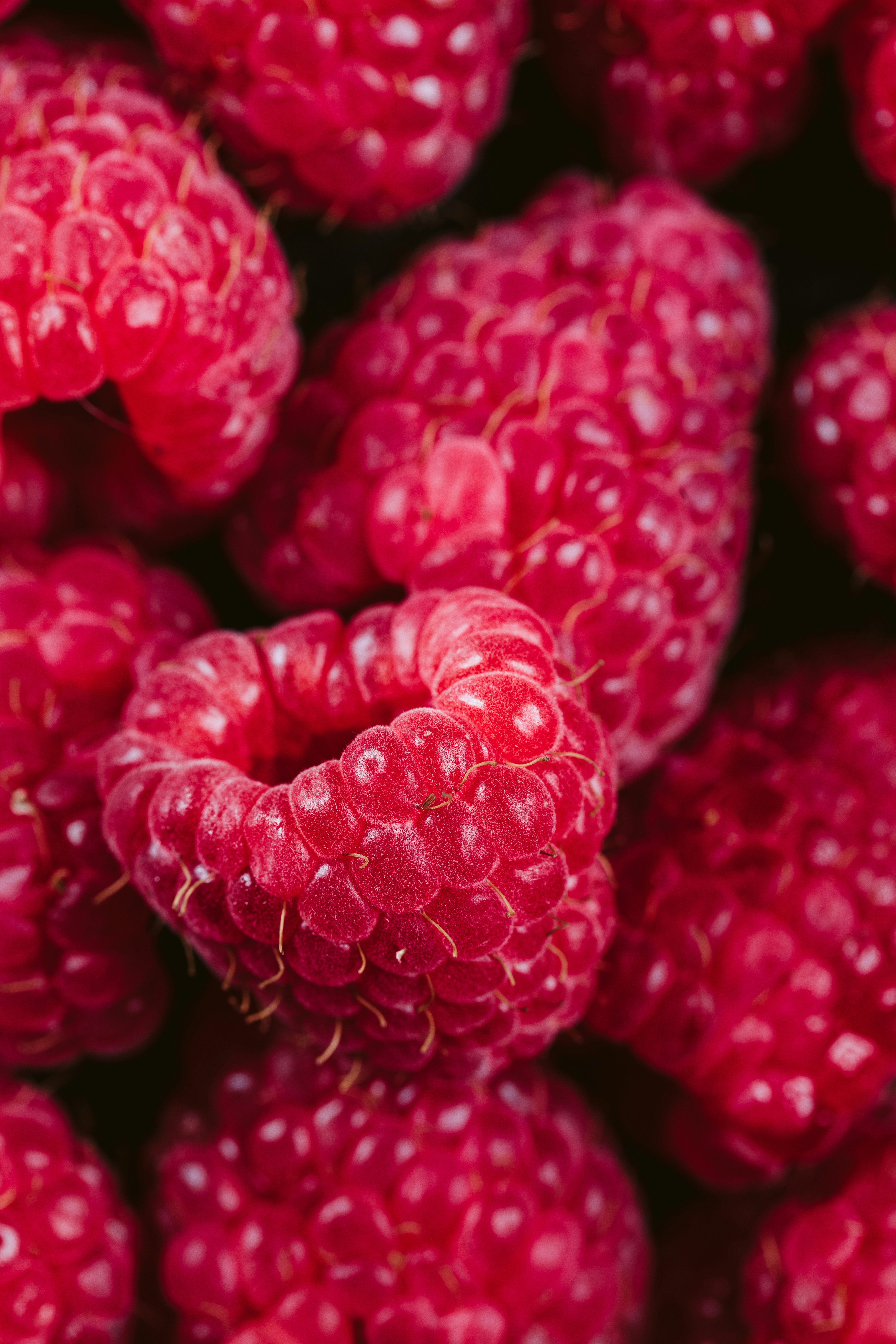 Raspberries Pictures | Download Free Images on Unsplash
