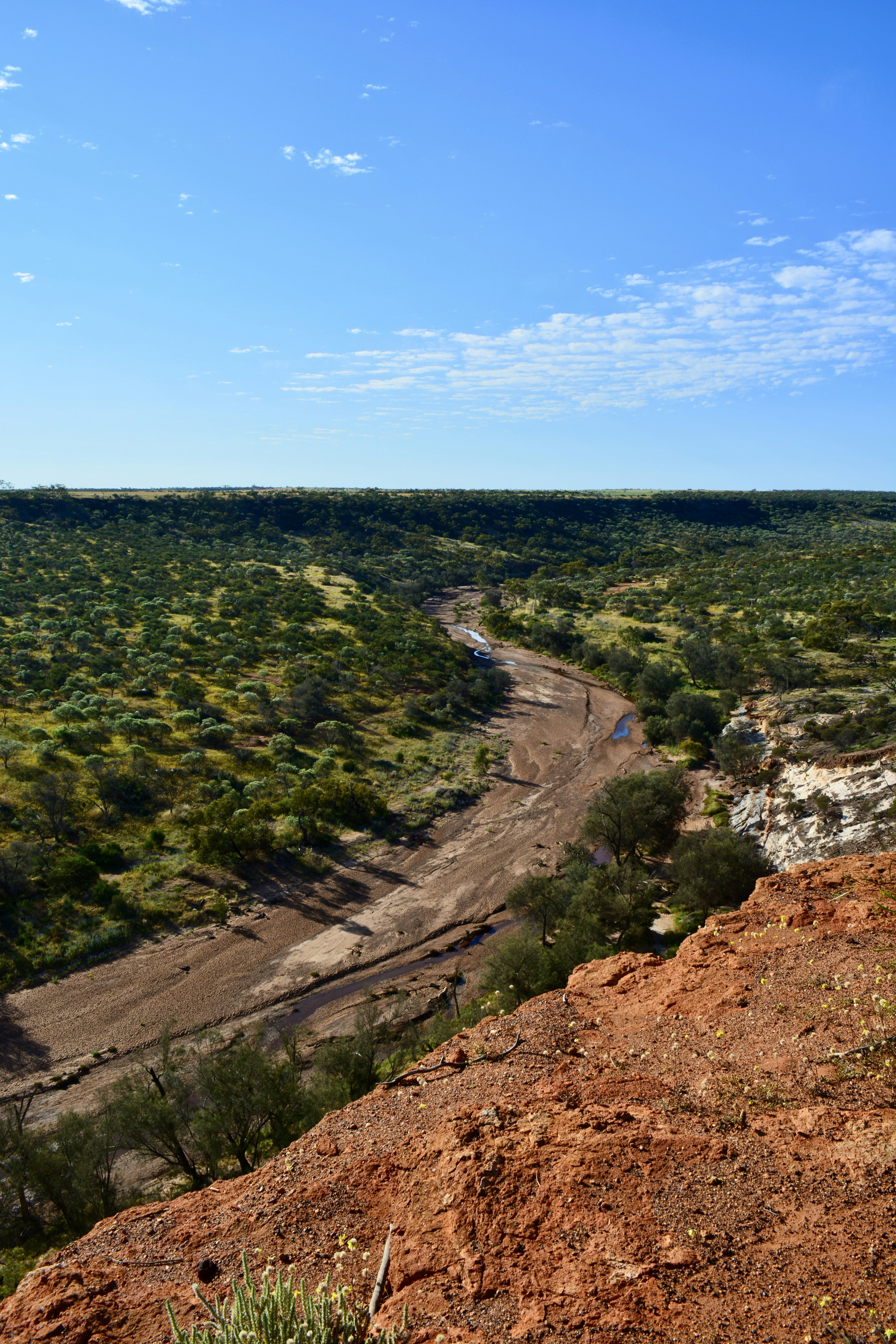 Winding Dirt Ribbon Through the Red Desert Under a Wide Blue Sky