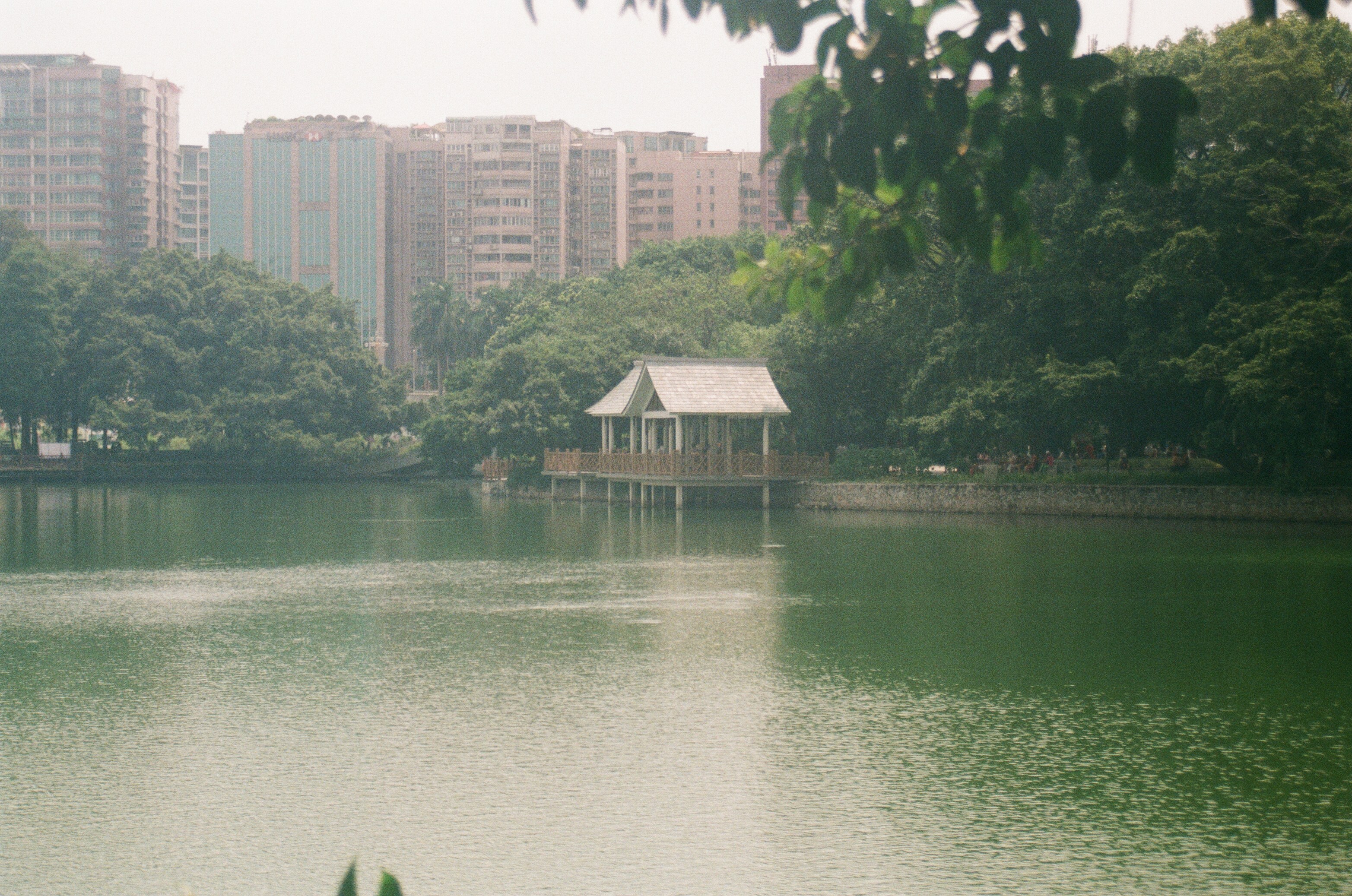 Traditional pavilion on a serene lake surrounded by lush greenery and urban buildings in the background.