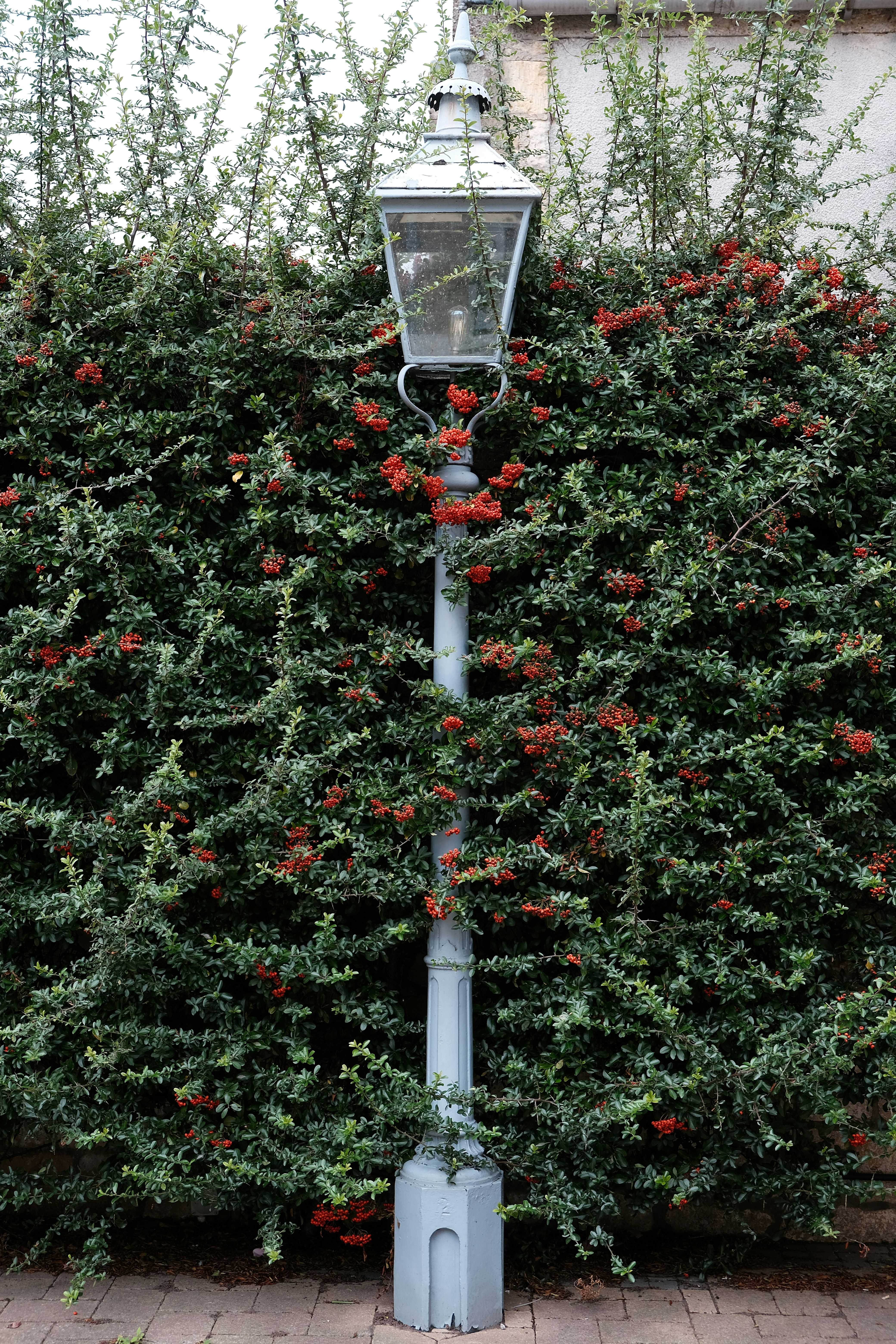 Street lamp,
Broadway, 
England