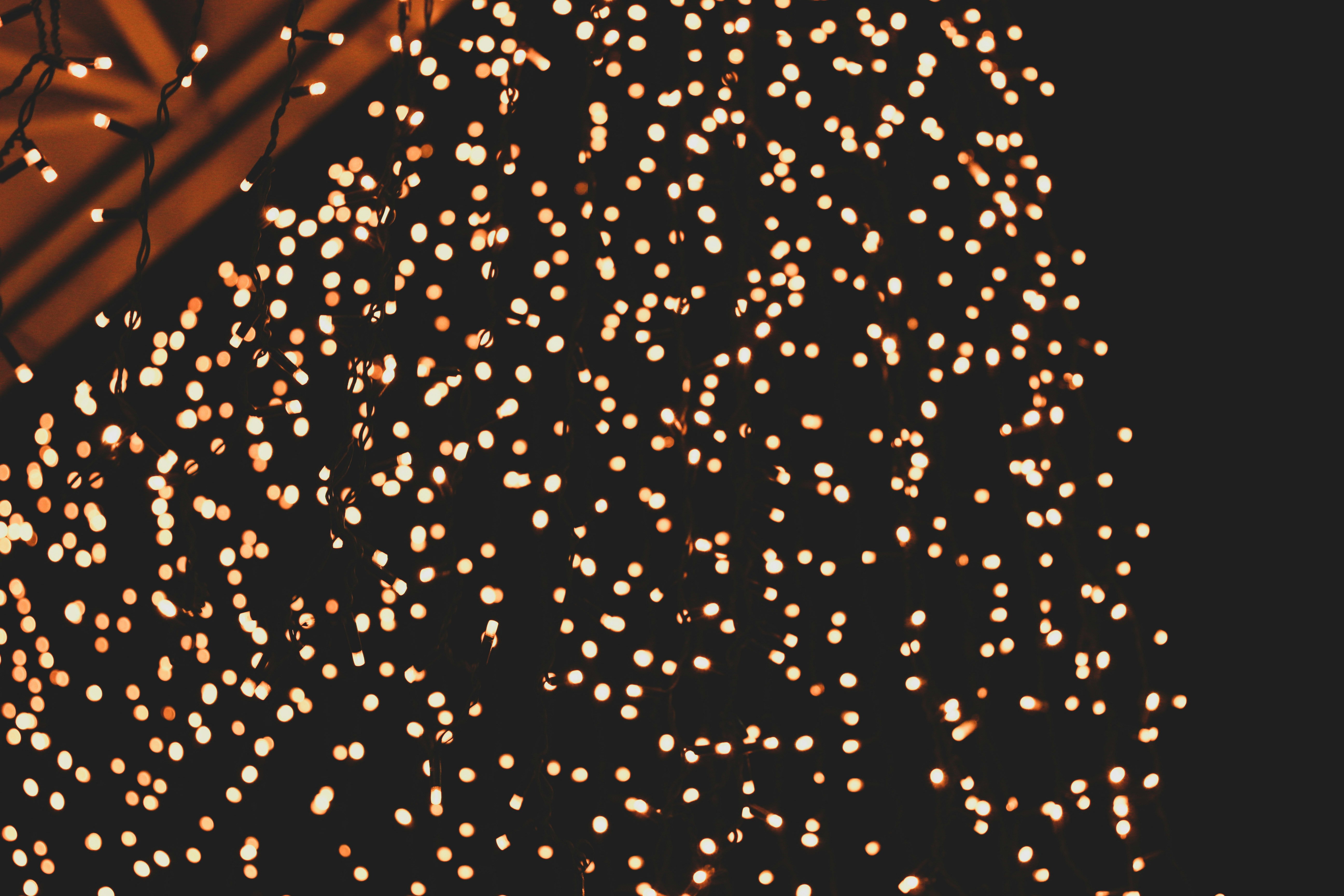 Amber Orbs in Velvet Night: A Field of Bokeh