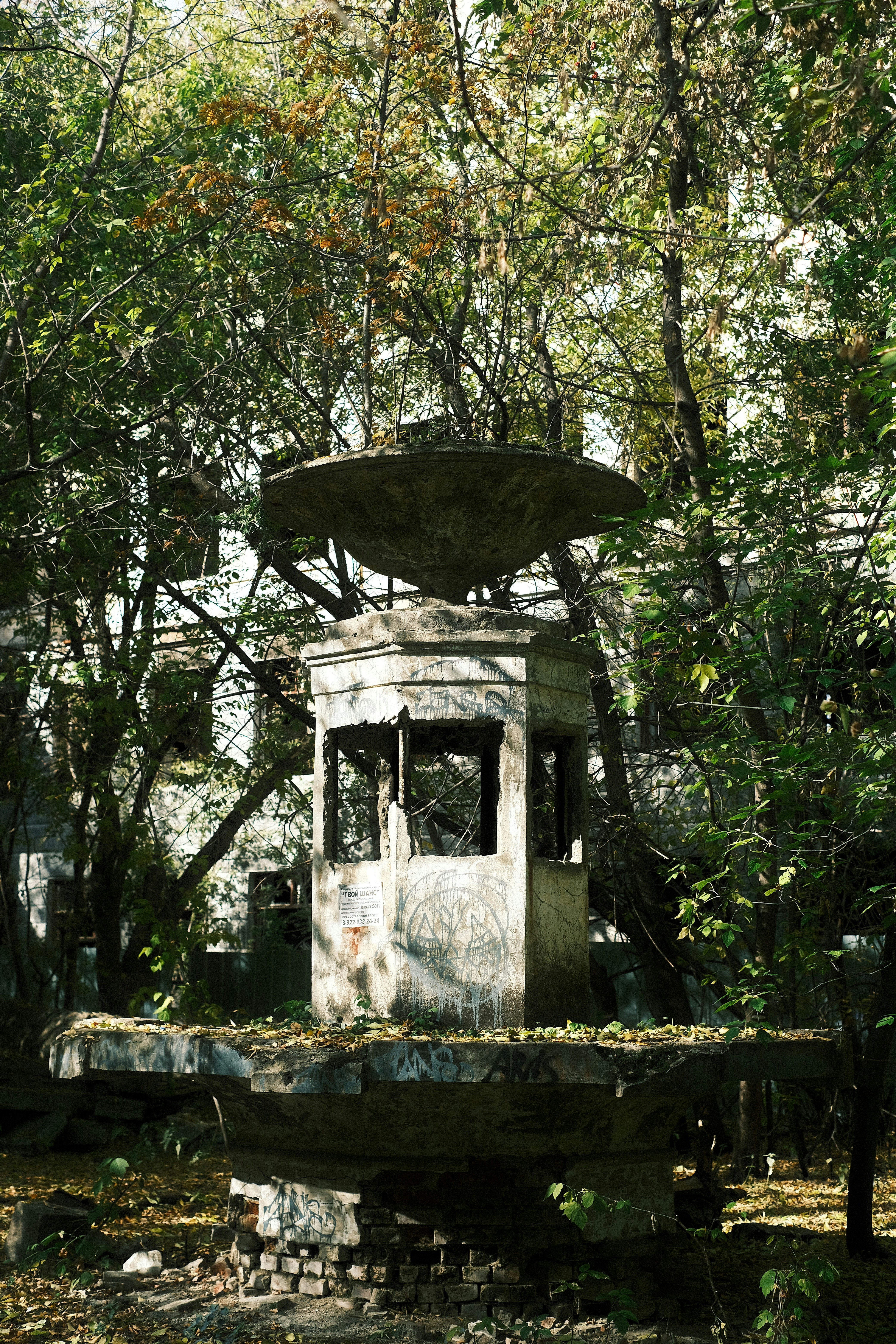 an old water fountain in the middle of a forest