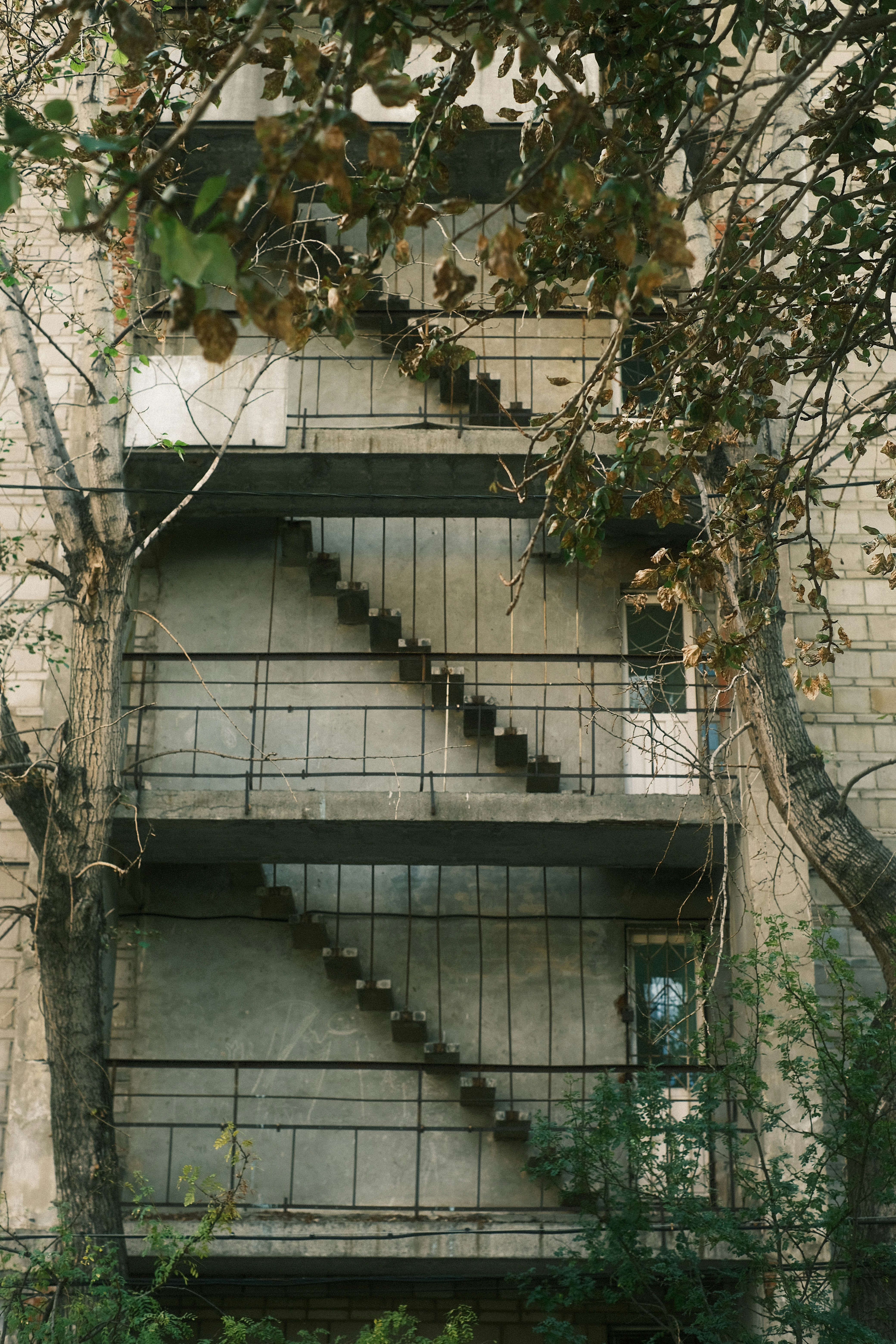 Zigzag Staircase Between a Weathered Facade Fringed by Ivy