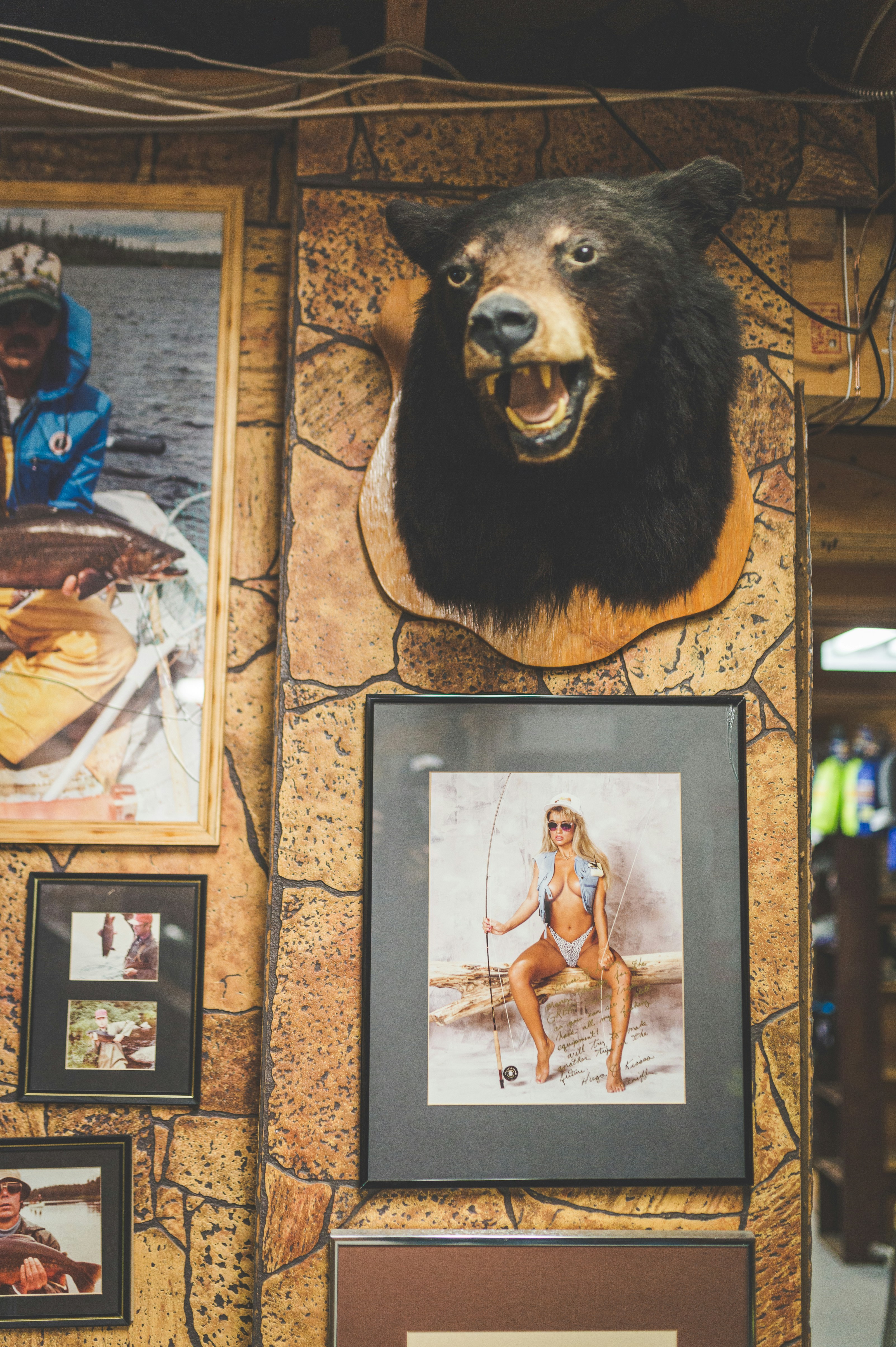 Bear Head Gallery: Taxidermy Mount above a framed montage