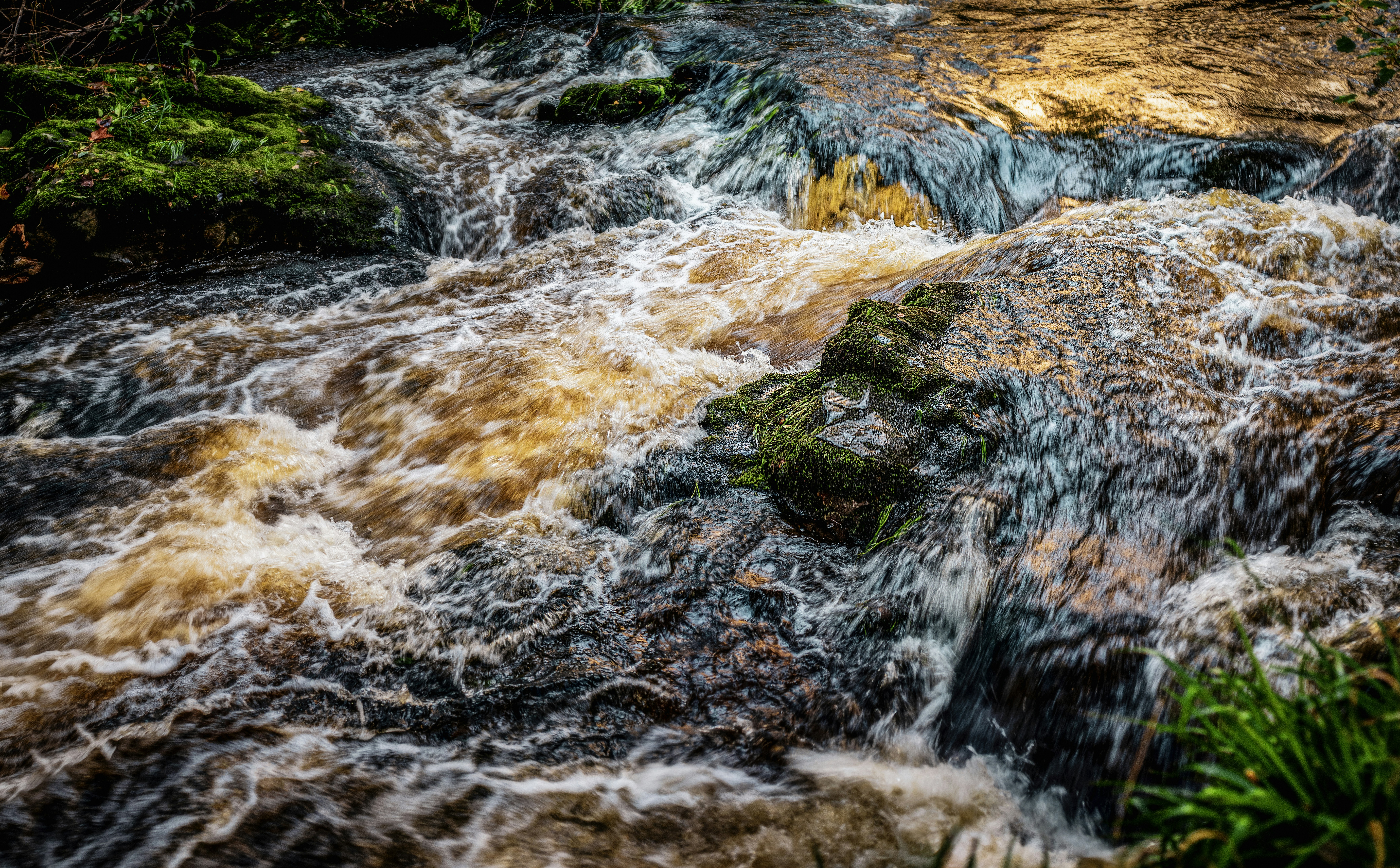 A stream of water running over rocks in a forest photo – Free Nature ...