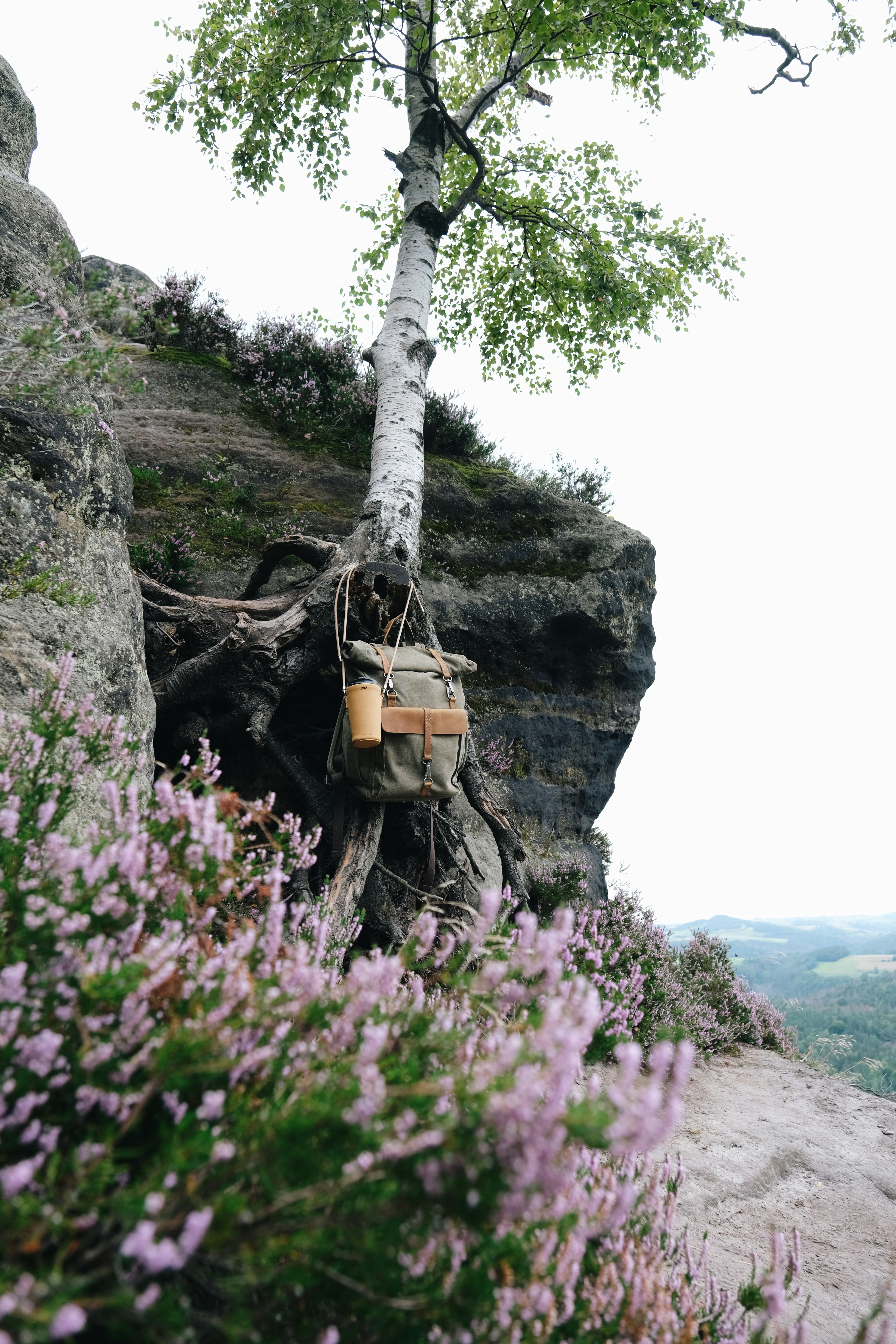 A sturdy backpack hangs from the roots of a birch tree on a rocky outcrop, surrounded by blooming heather. The scene captures the harmony between nature and outdoor adventure.