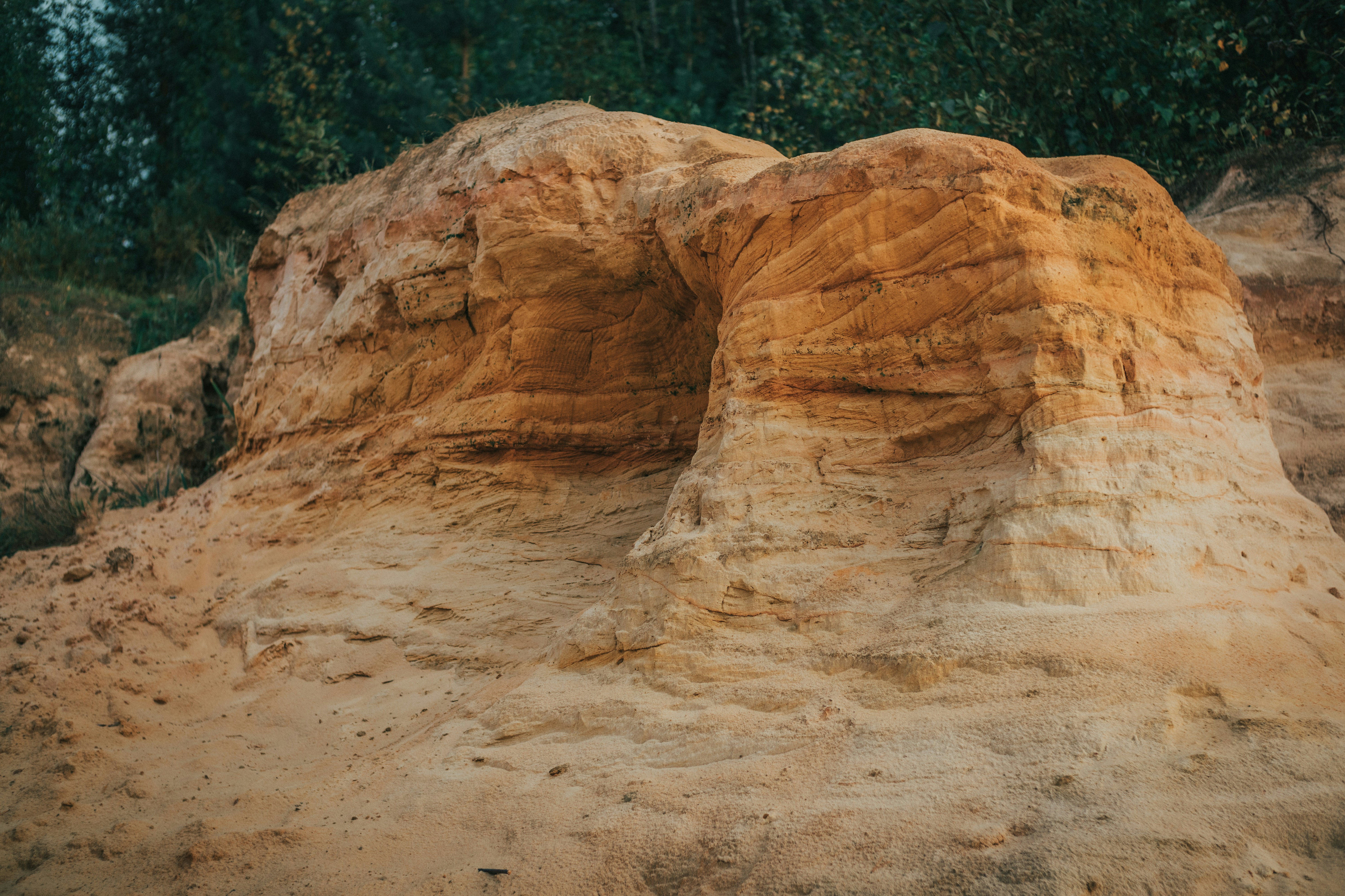 Weathered Sandstone Promontories Framed by a Forested Rim