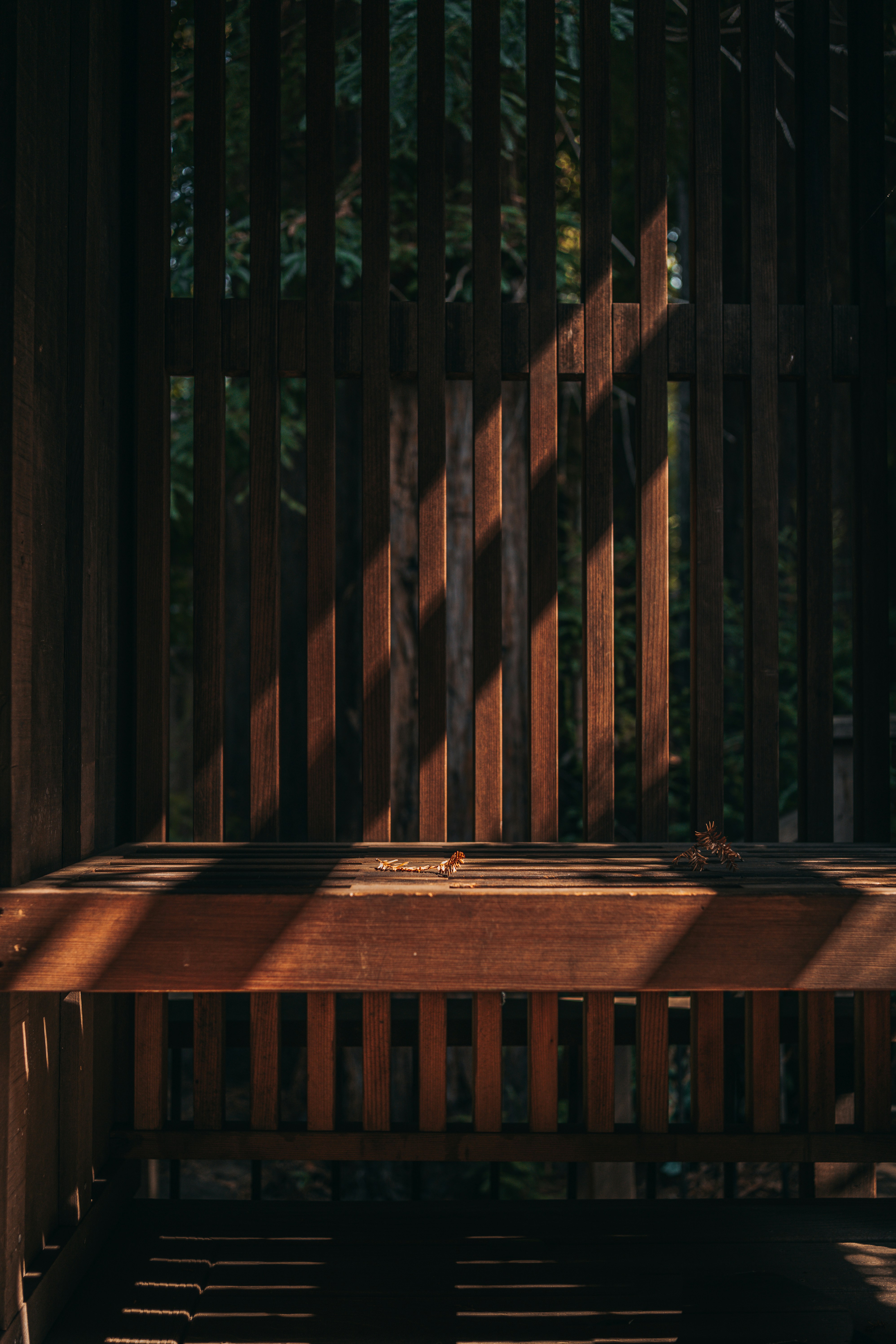 Sunlight filters through wooden slats, casting intricate shadows on a rustic bench adorned with fallen leaves.