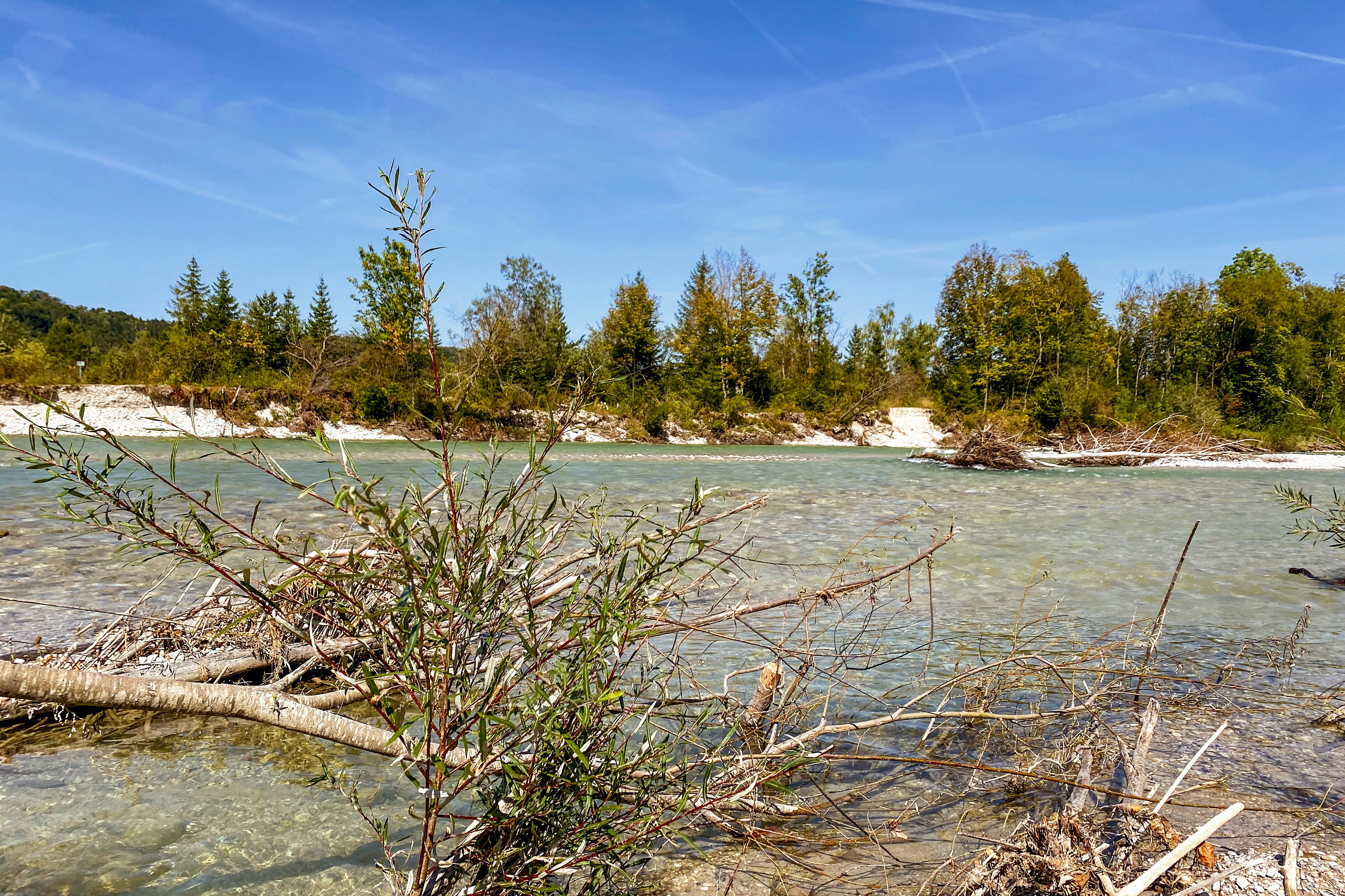 A body of water with trees in the background photo – Free Lenggries ...