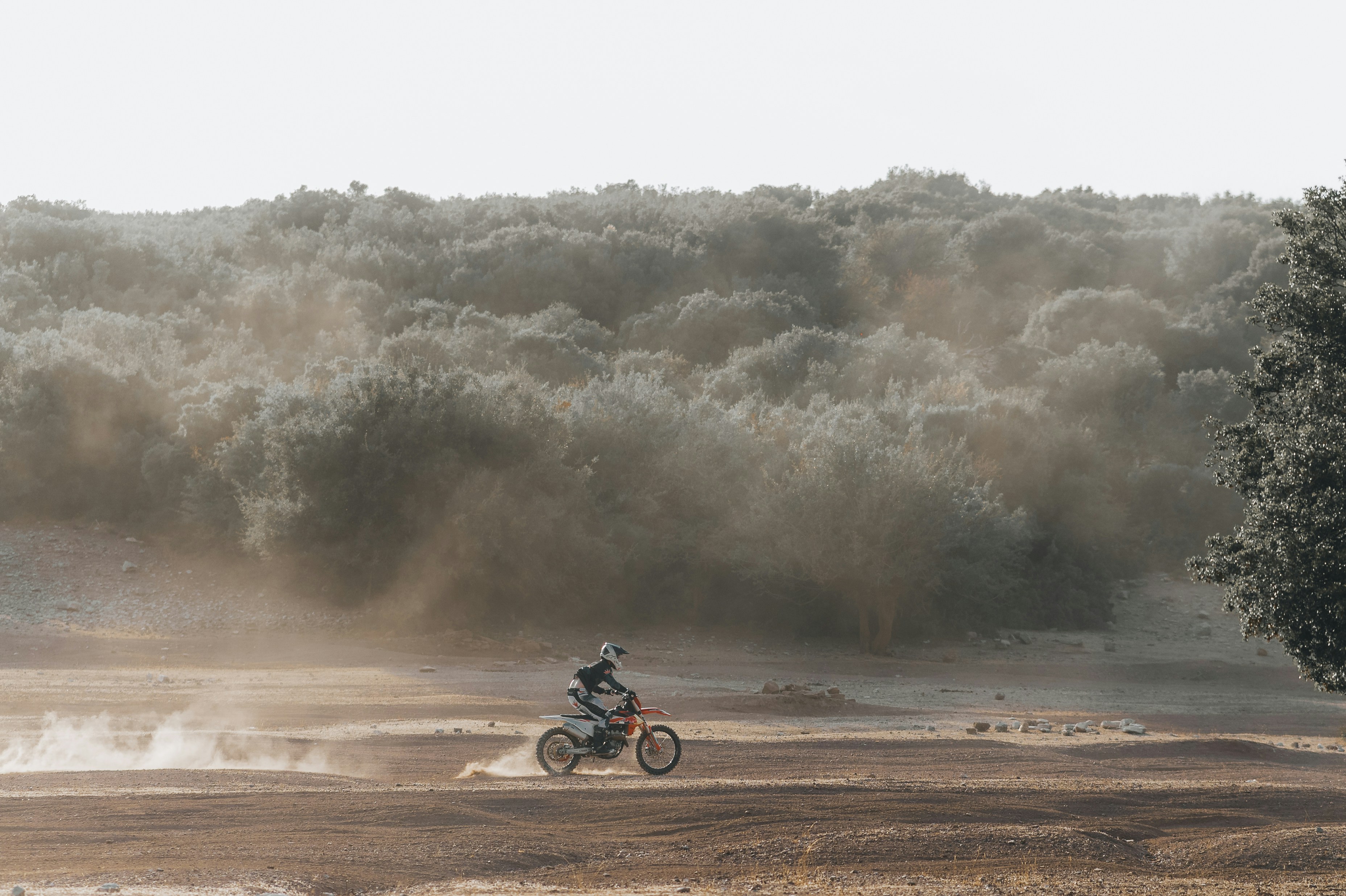Motorcycle rider kicking up dust on a dirt track surrounded by lush trees in the background.