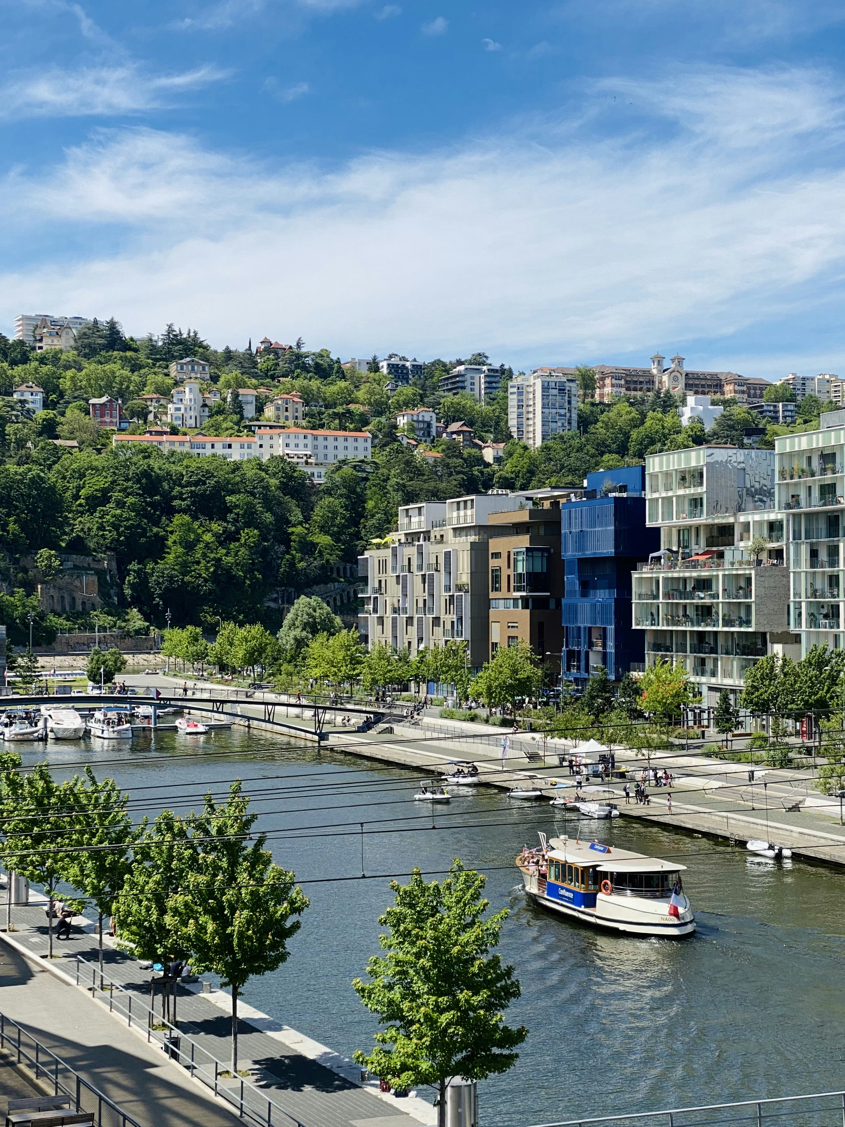 Colorful riverside apartments rise from a tree-lined boulevard