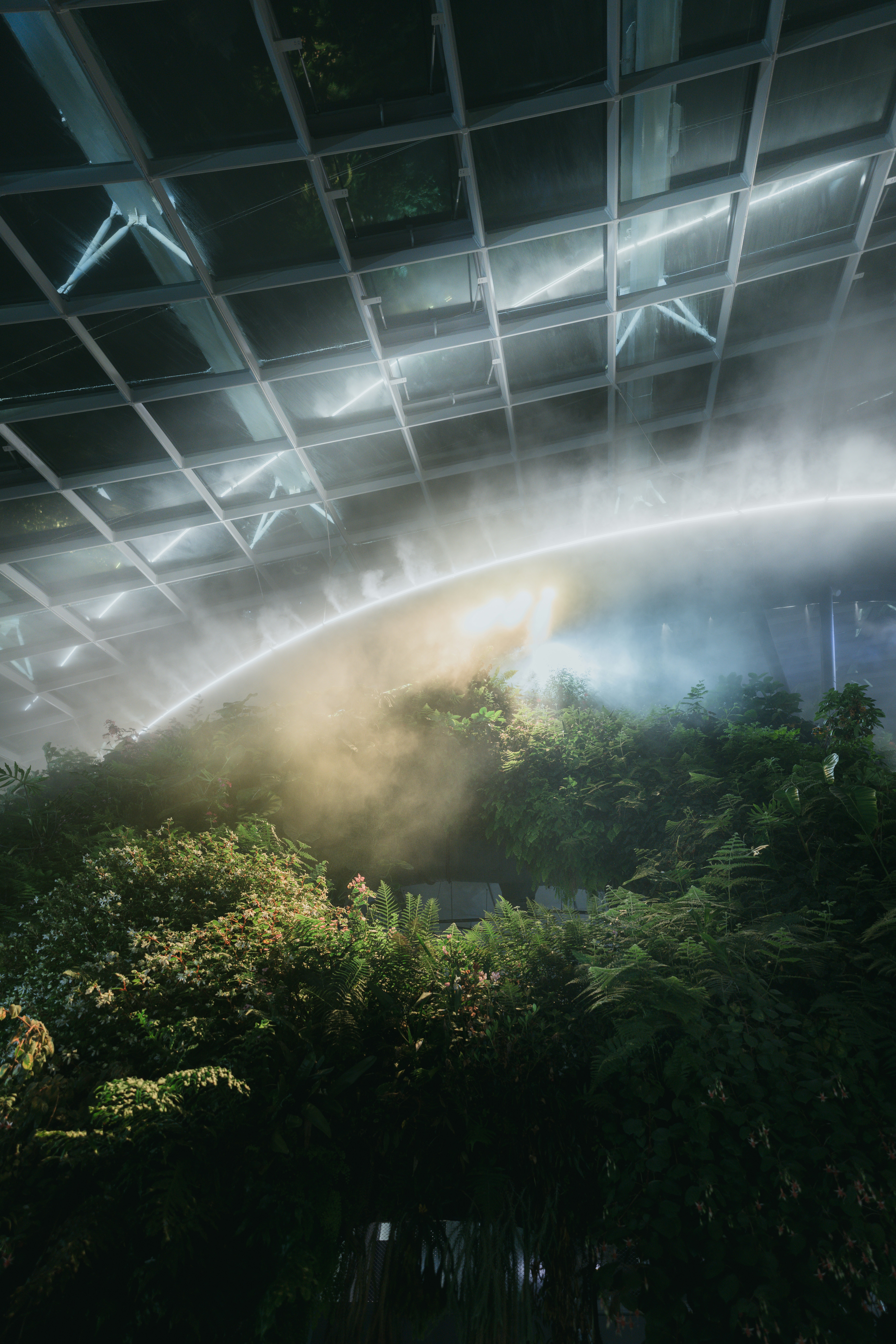 Lush greenery enveloped in mist under a modern glass structure, highlighting the harmony between nature and architecture.