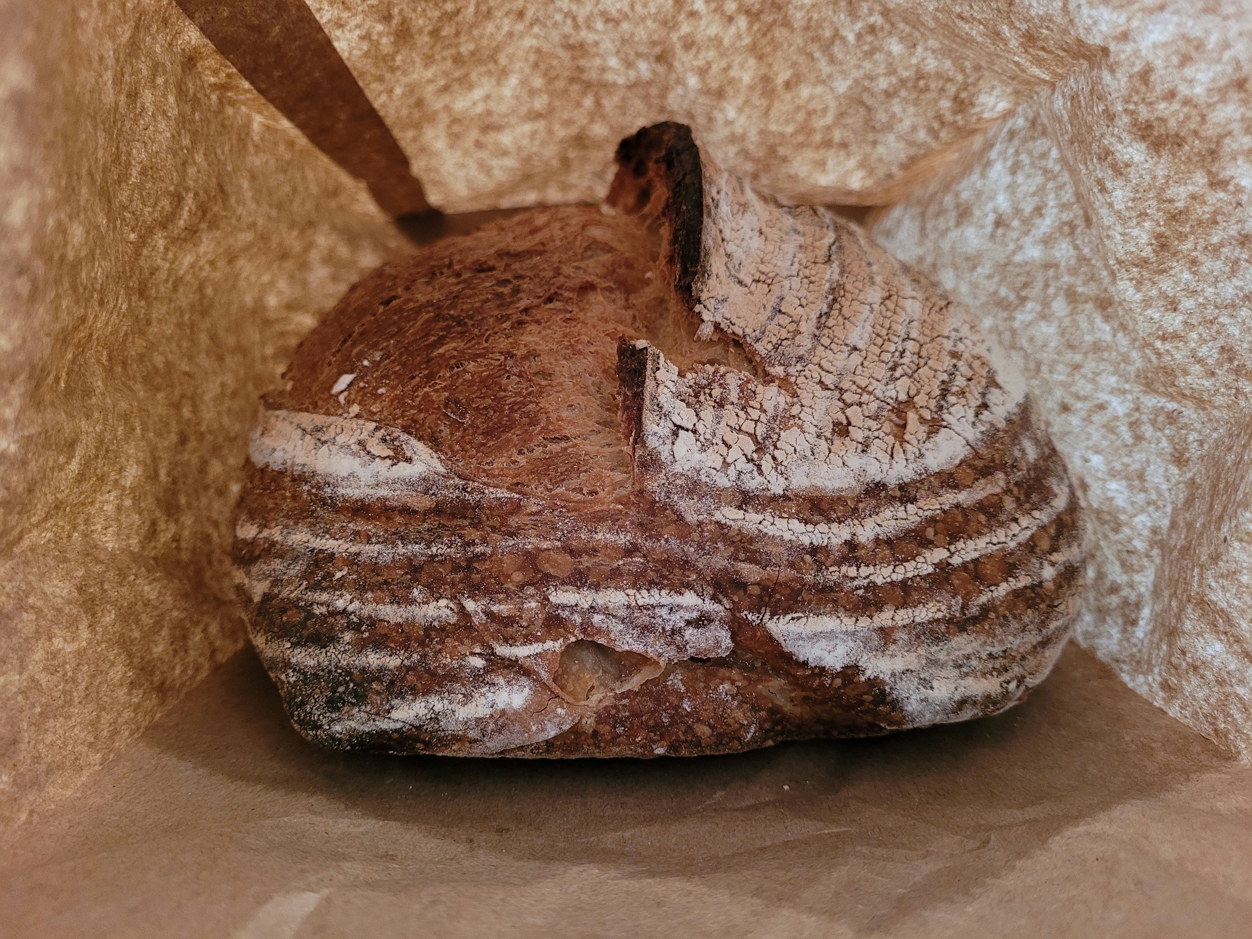 Artisan sourdough loaf nestled in a rustic paper bag, showcasing its textured crust and unique shape.