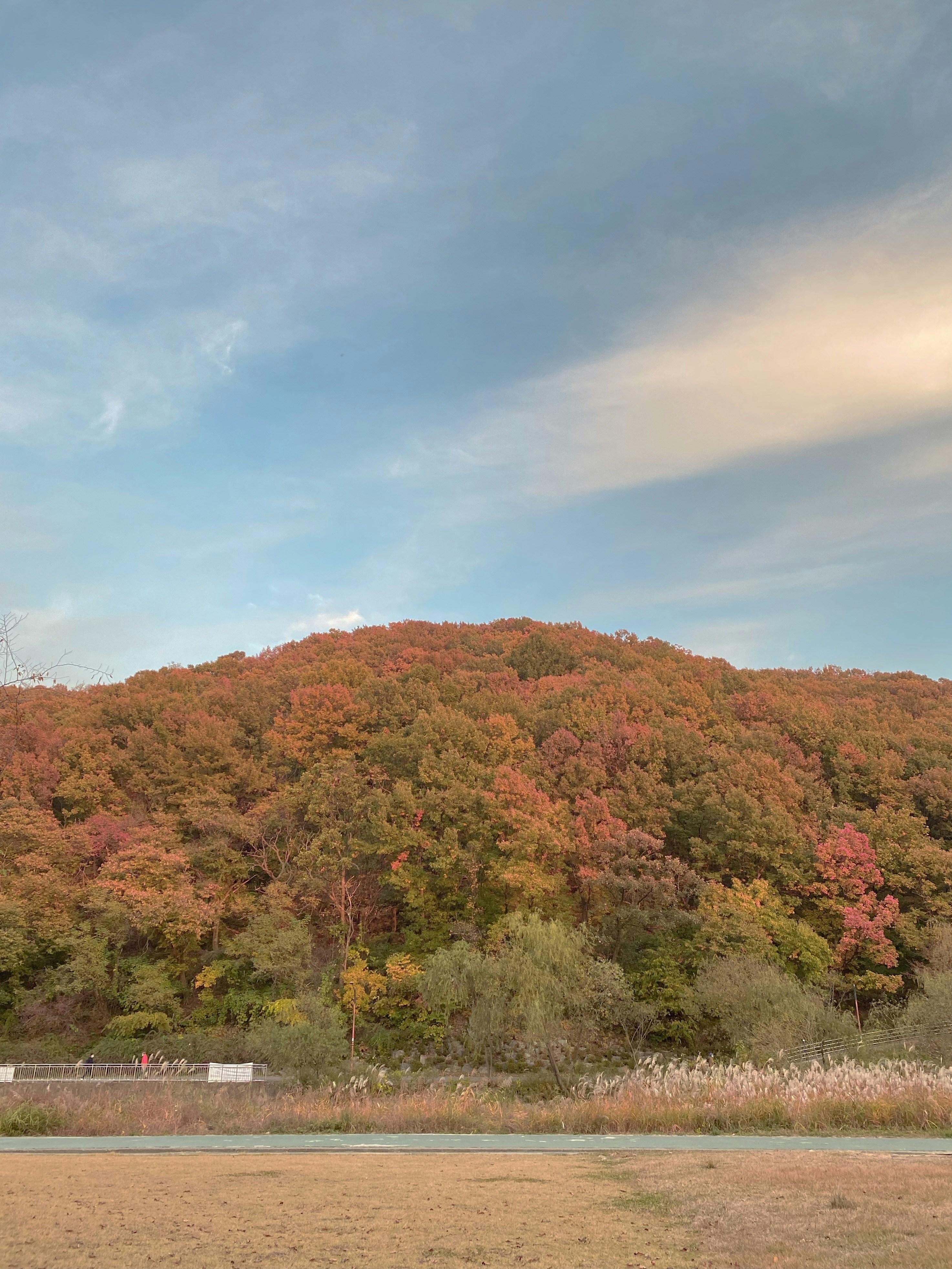 Ember Ridge Overlook: Riverside Fall Mosaic